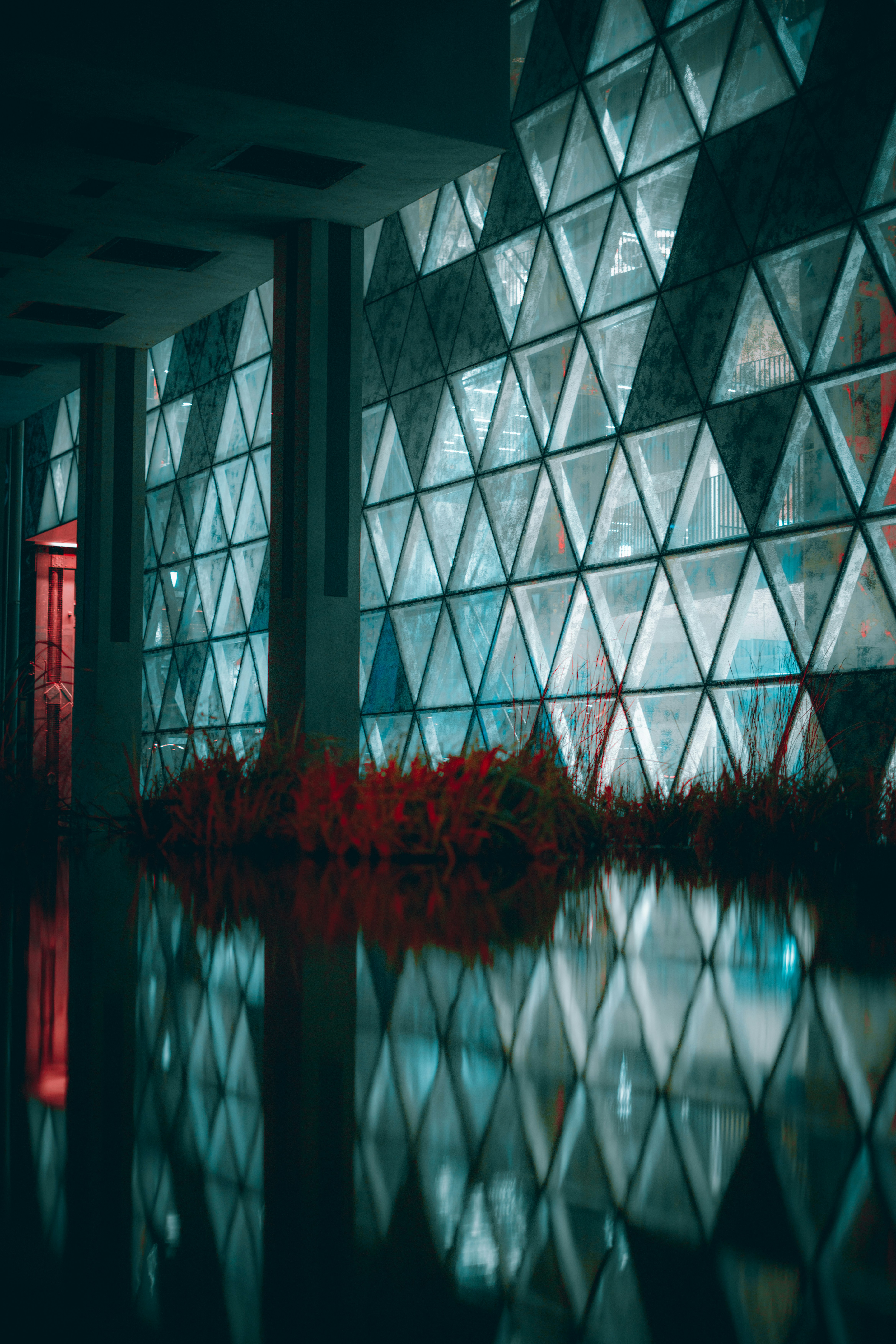 Photo by Christos Papadopoulos with Sony Alpha 7 IV