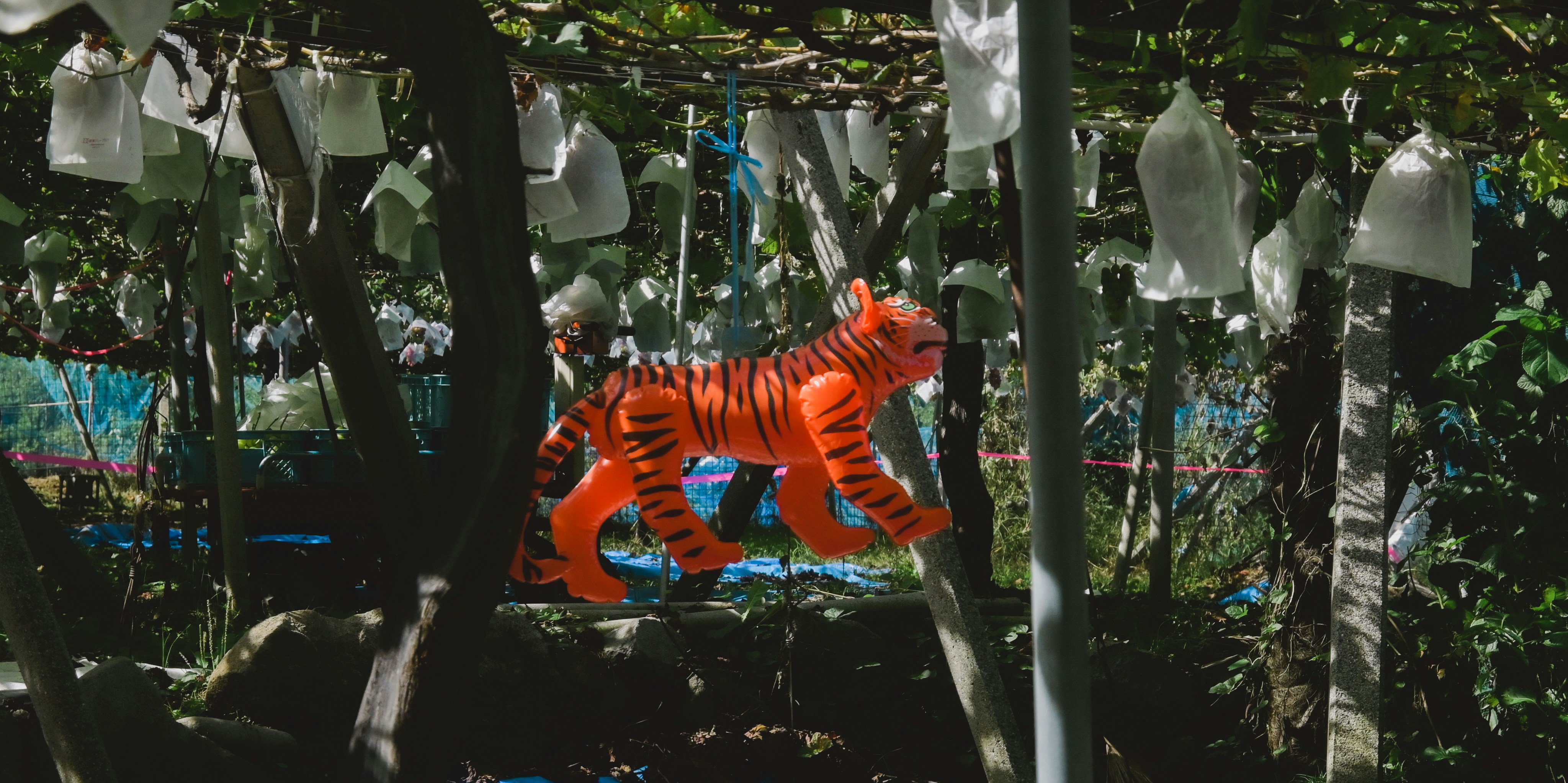 Orange tiger toy hanging among trees with white bags photo – Free ...