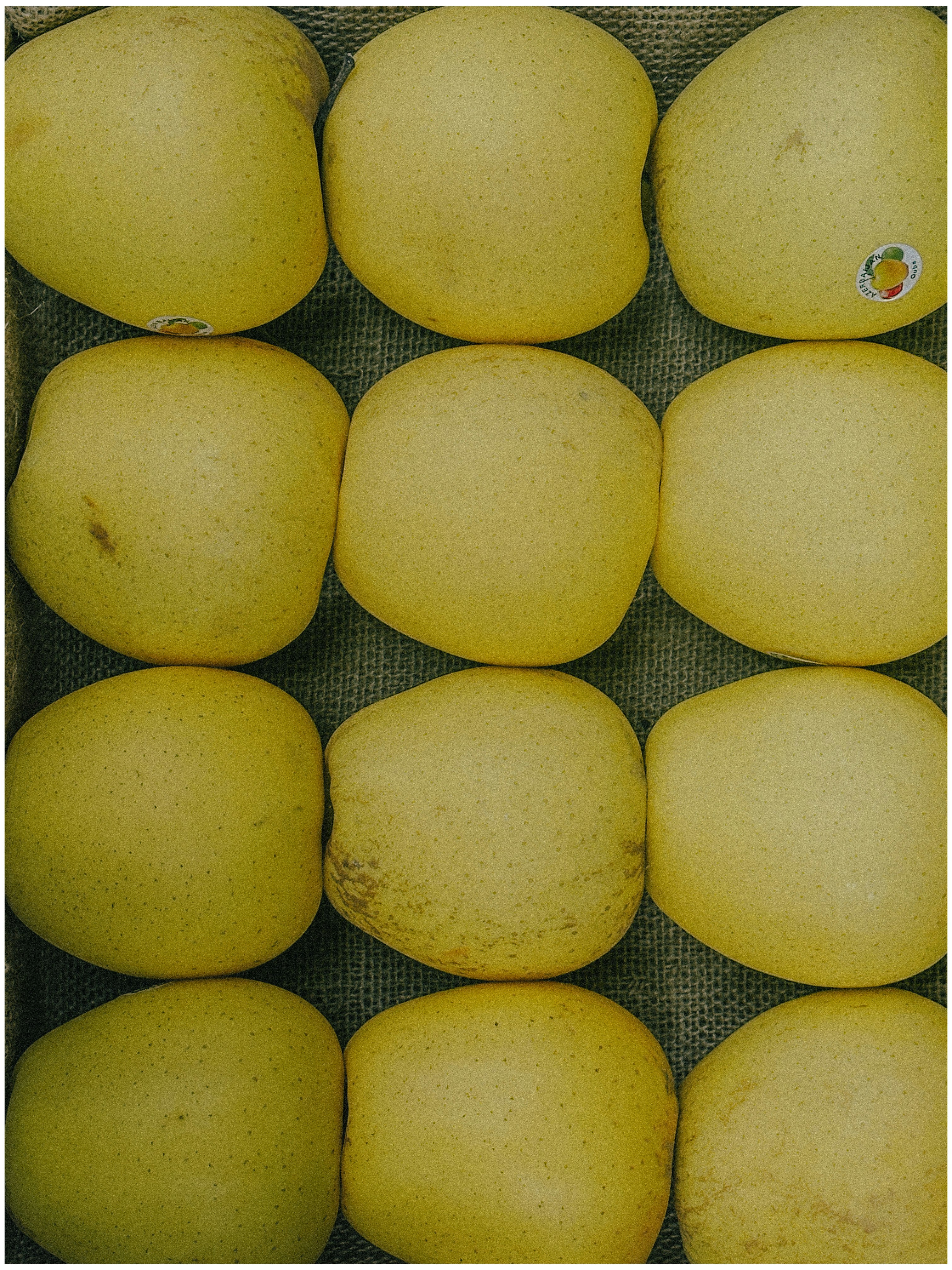 Twelve yellow apples arranged in a grid
