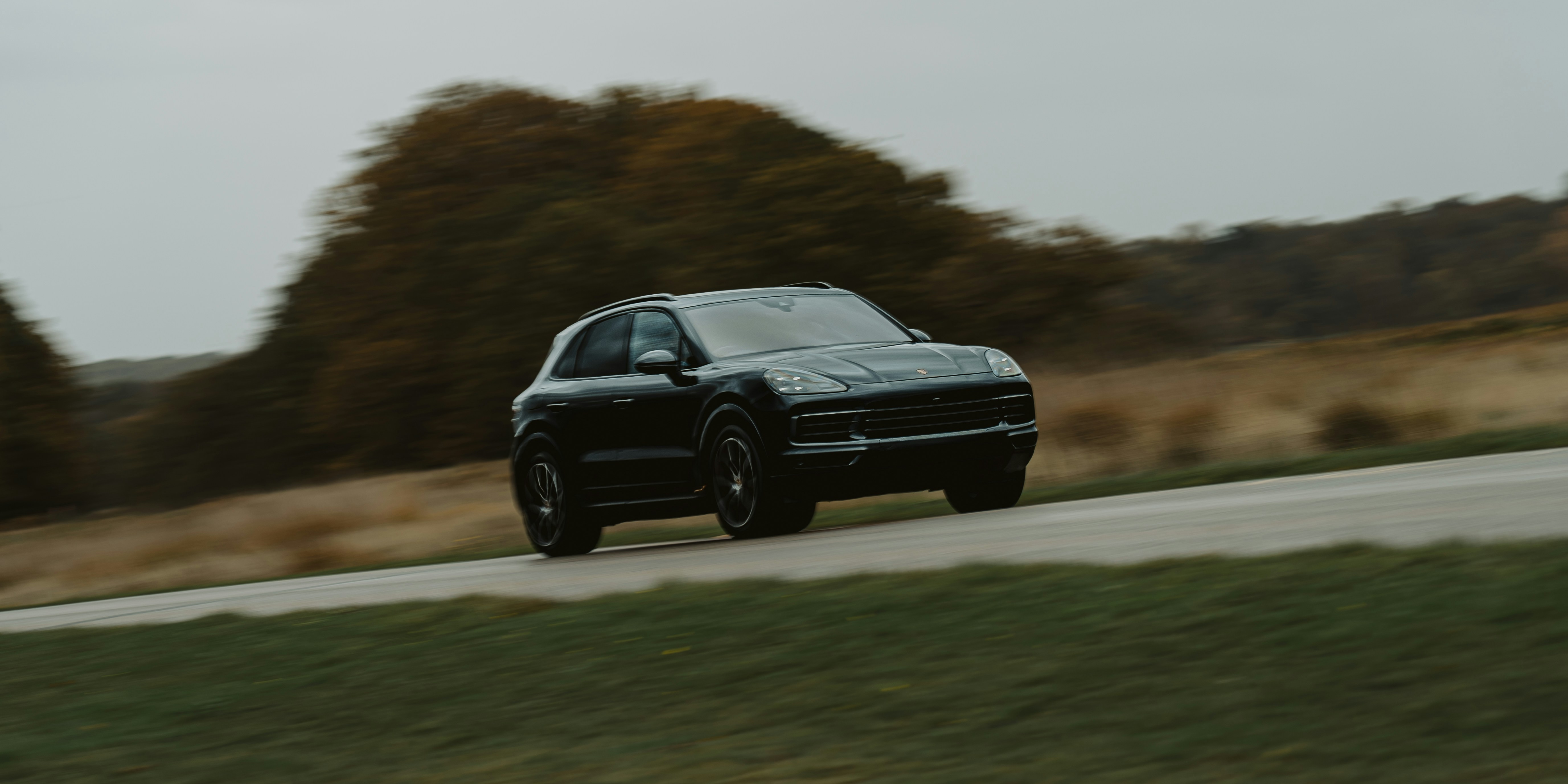 Dynamic Motion in Elegance