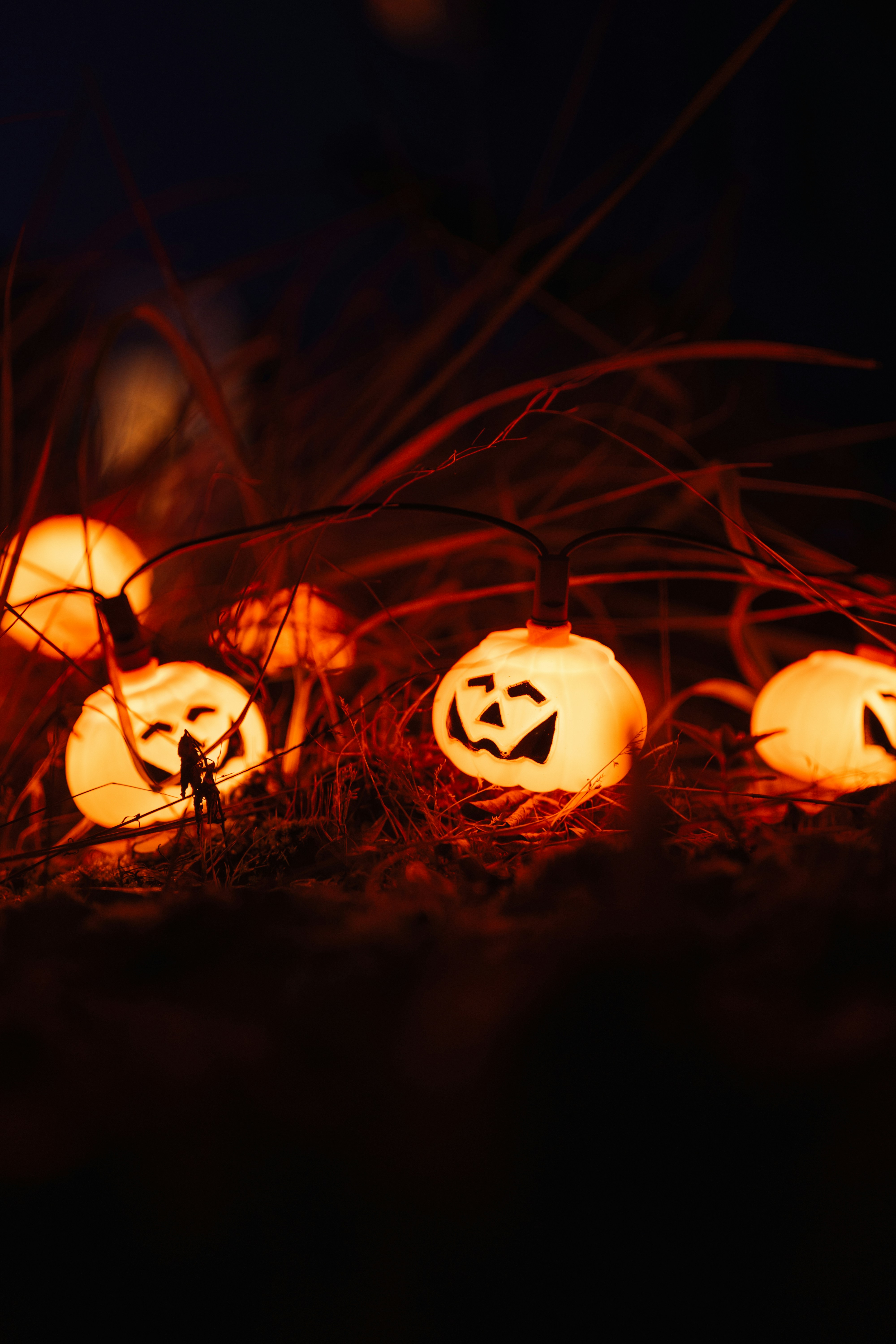 Illuminated pumpkin-shaped lights nestled among dried grass, evoking a festive autumn atmosphere.