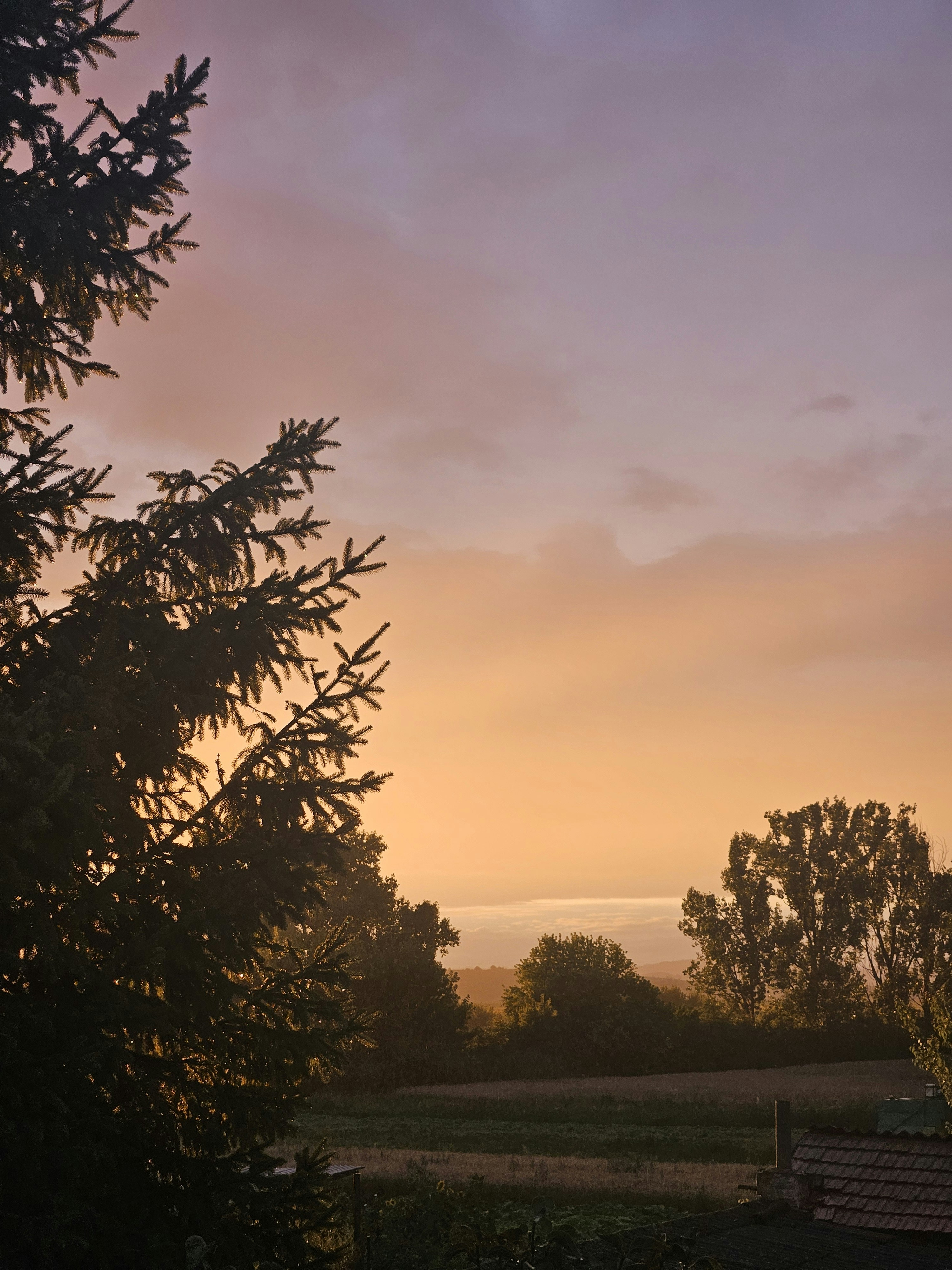 Pastel sunset over a rural landscape with trees.
