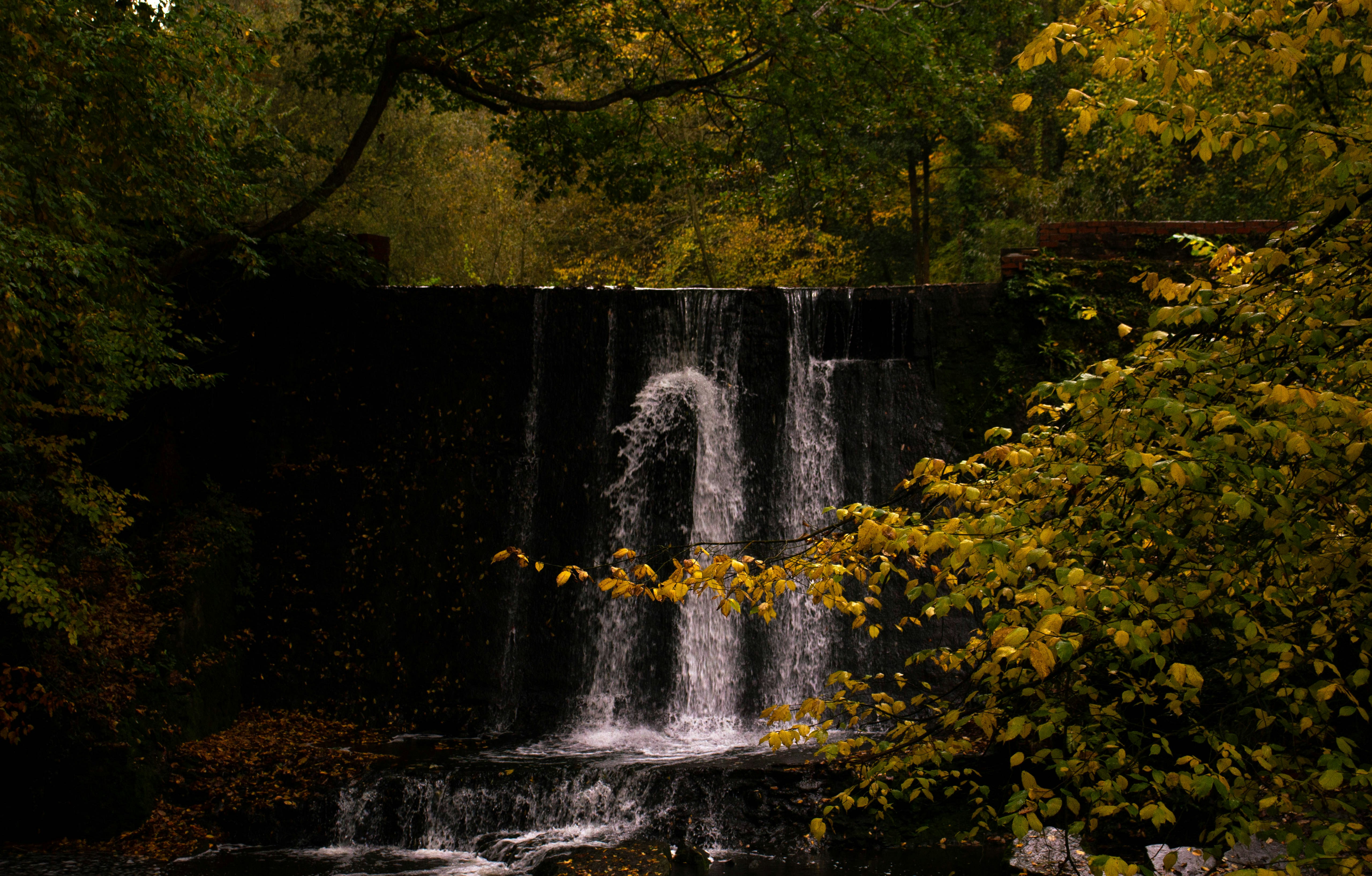 Whispers of Autumn: The Hidden Cascade