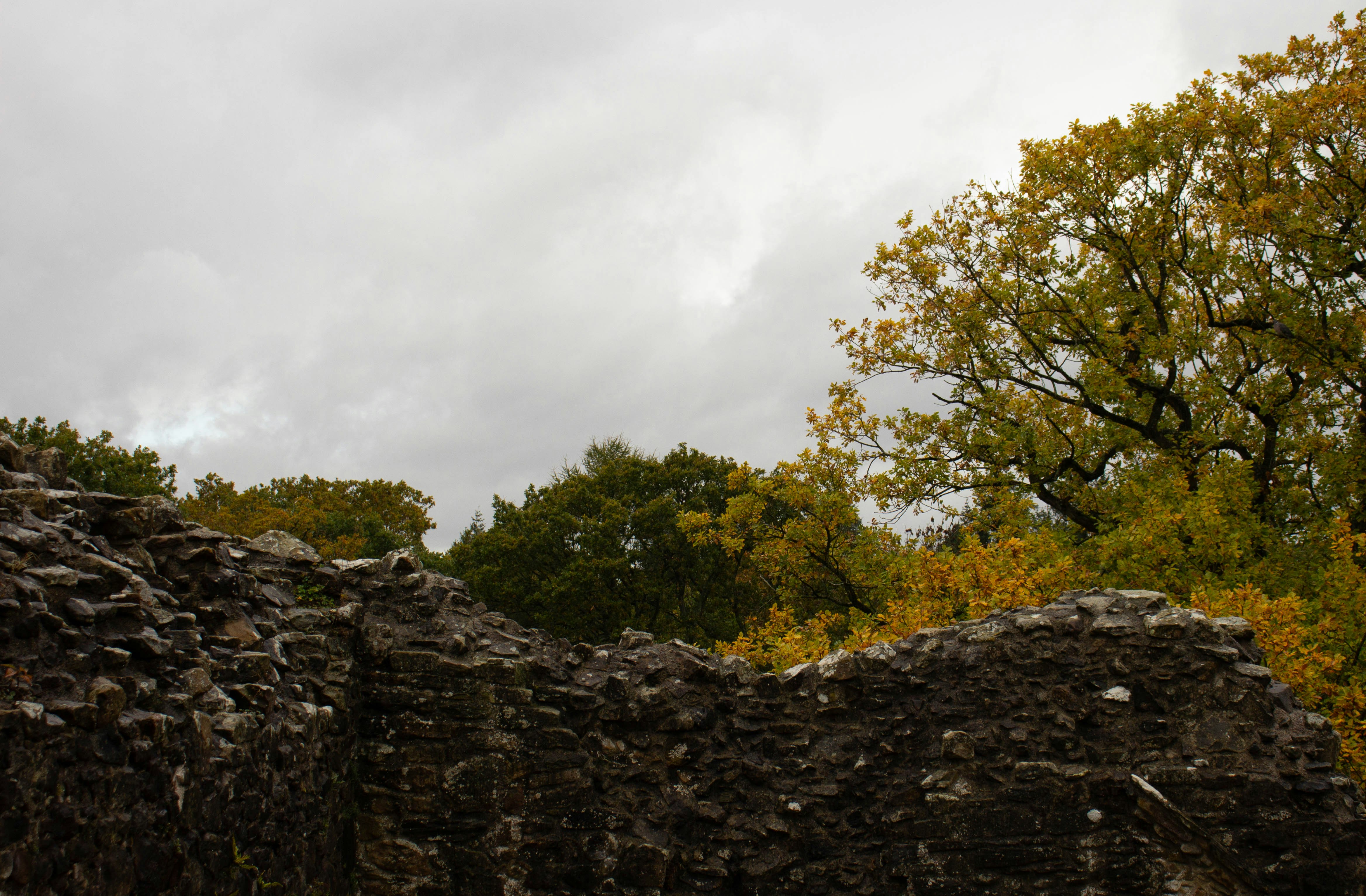 Stone ruins with autumn trees under cloudy sky