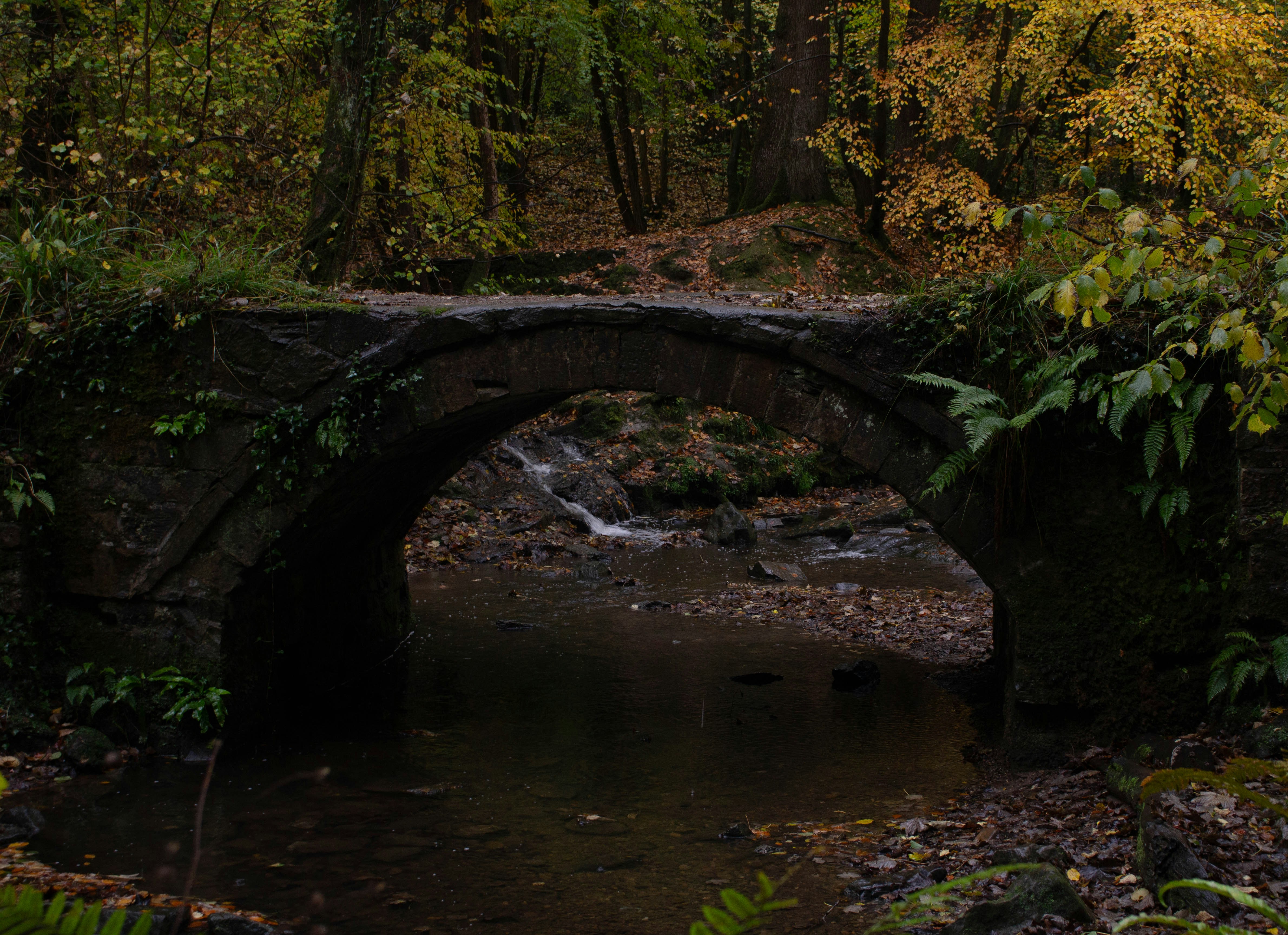 Ancient stone bridge arching over a tranquil stream, surrounded by vibrant autumn foliage.