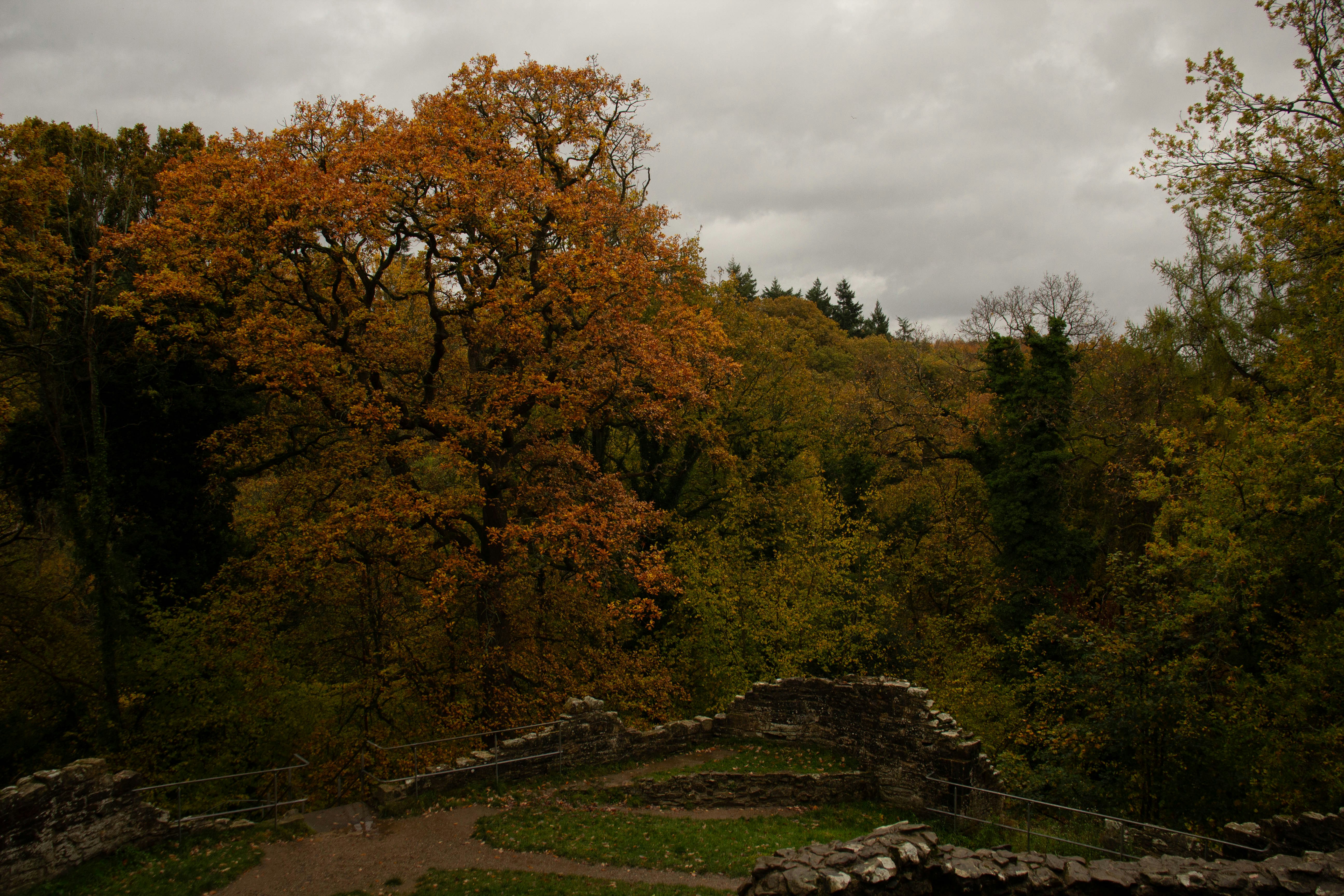 Vibrant autumn foliage envelops a historic stone structure, set against a backdrop of dense forest. The scene captures the rich colors of fall.