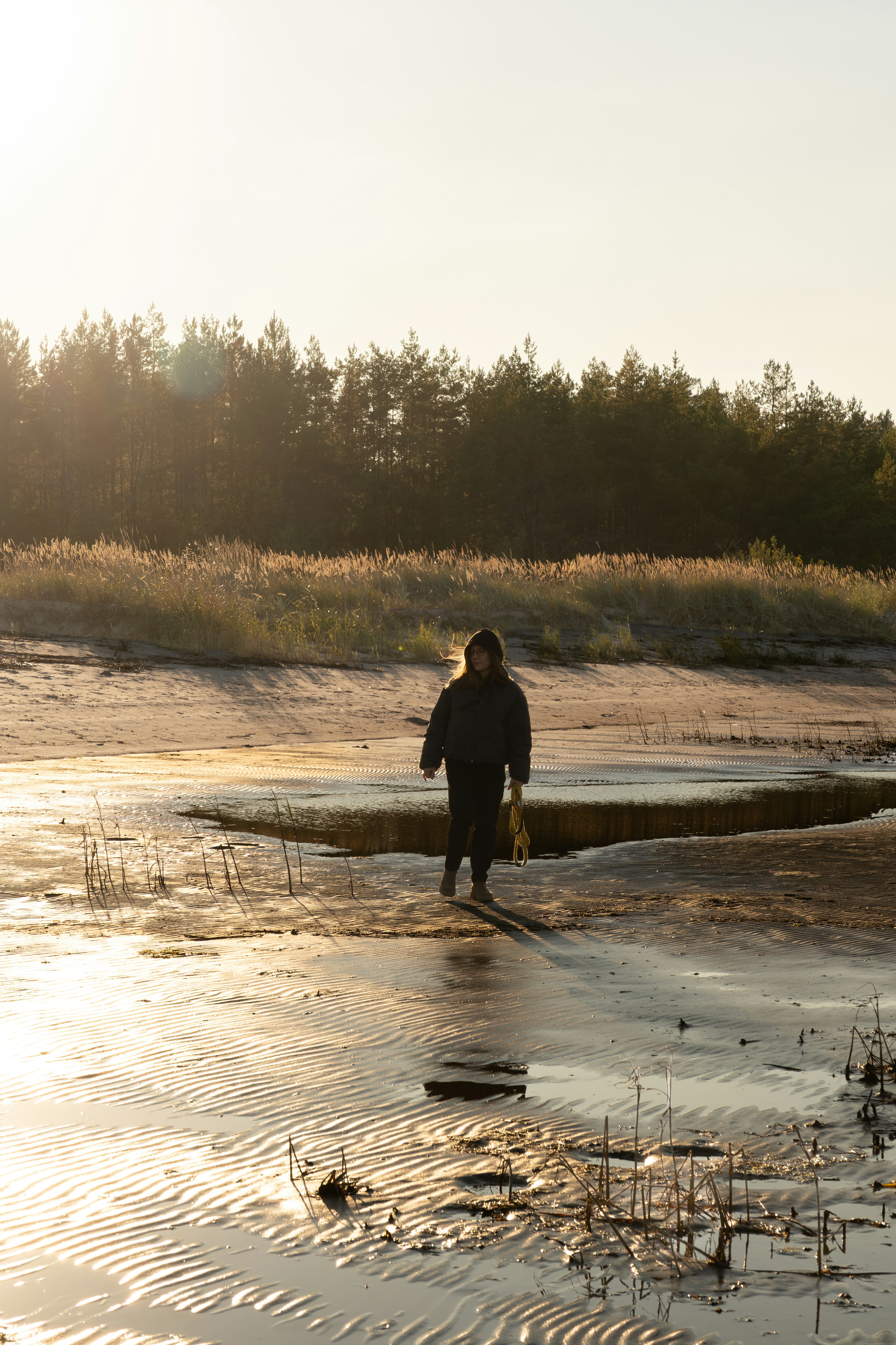 Solitude by the Shoreline