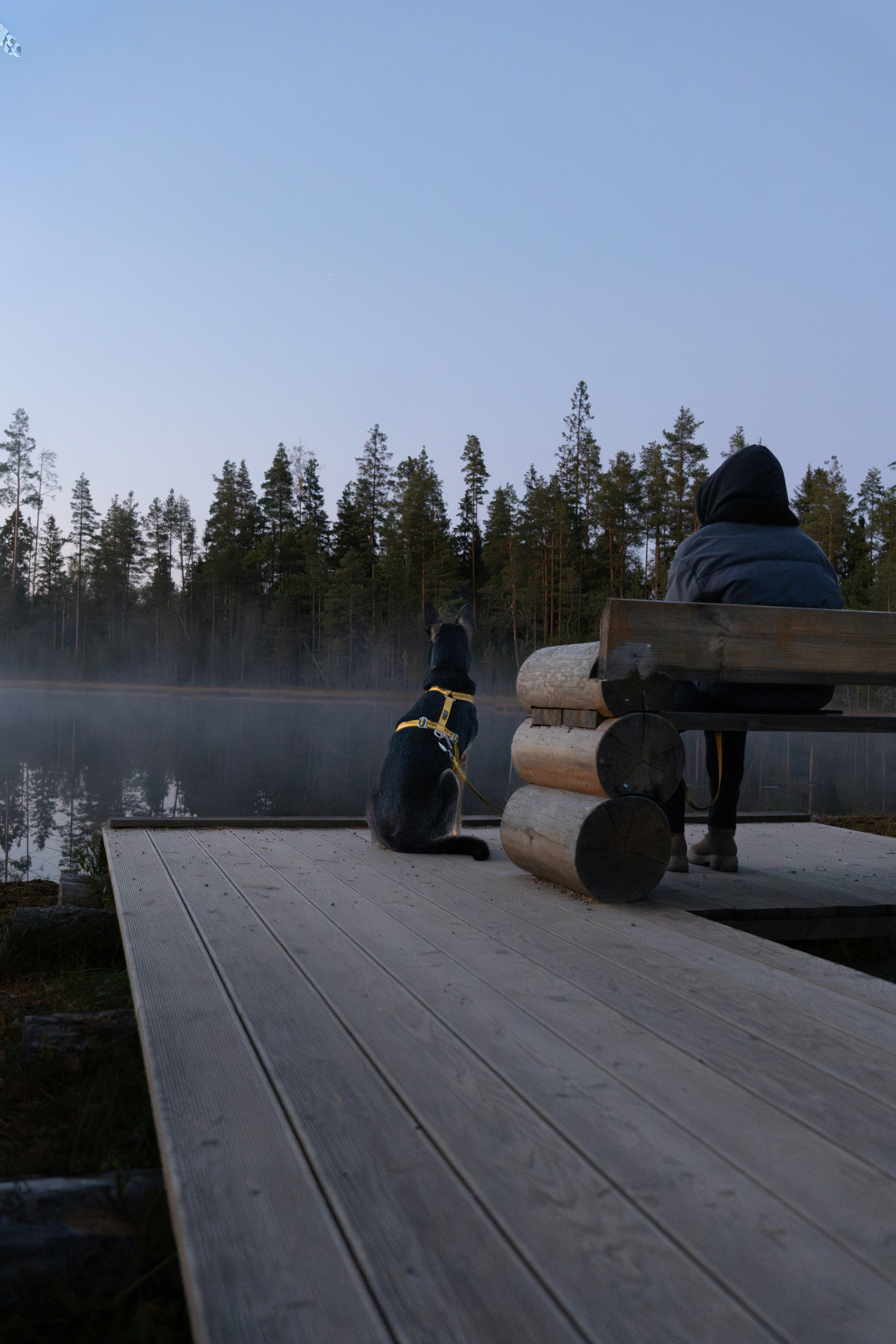 Whispers of Dawn by the Water's Edge