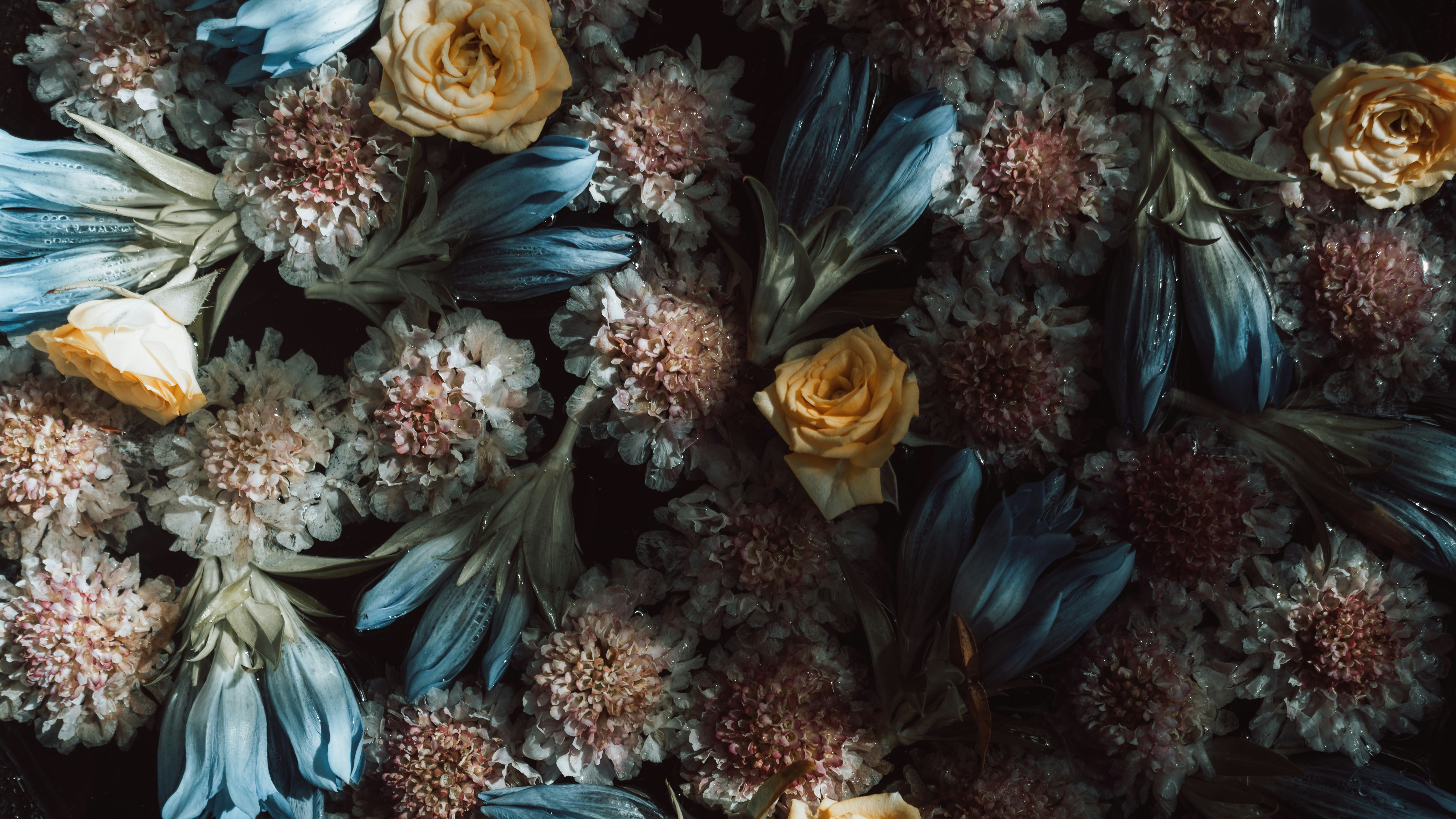 Whispers of Nature's Palette