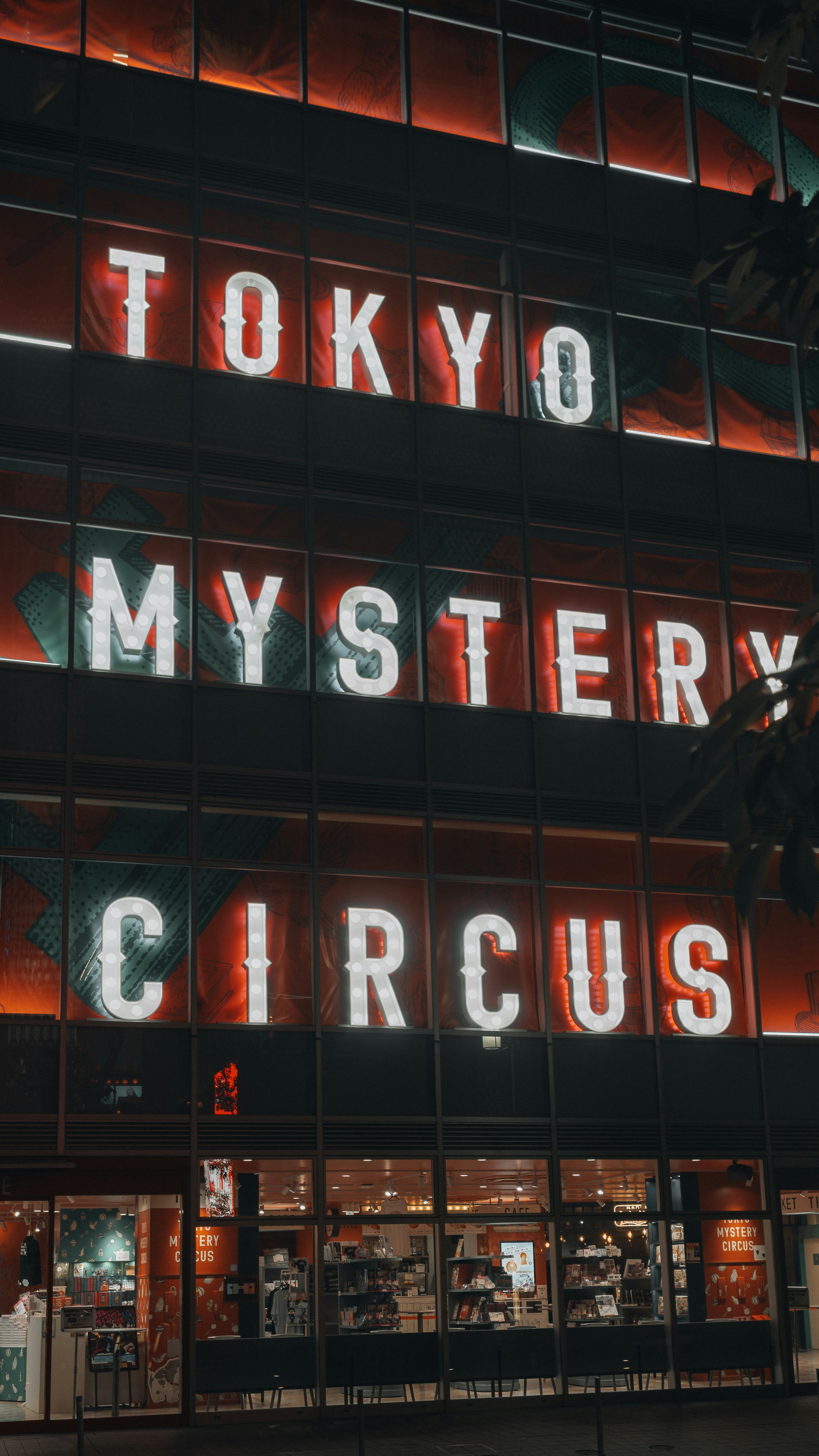 Neon Whispers of Tokyo's Enigma