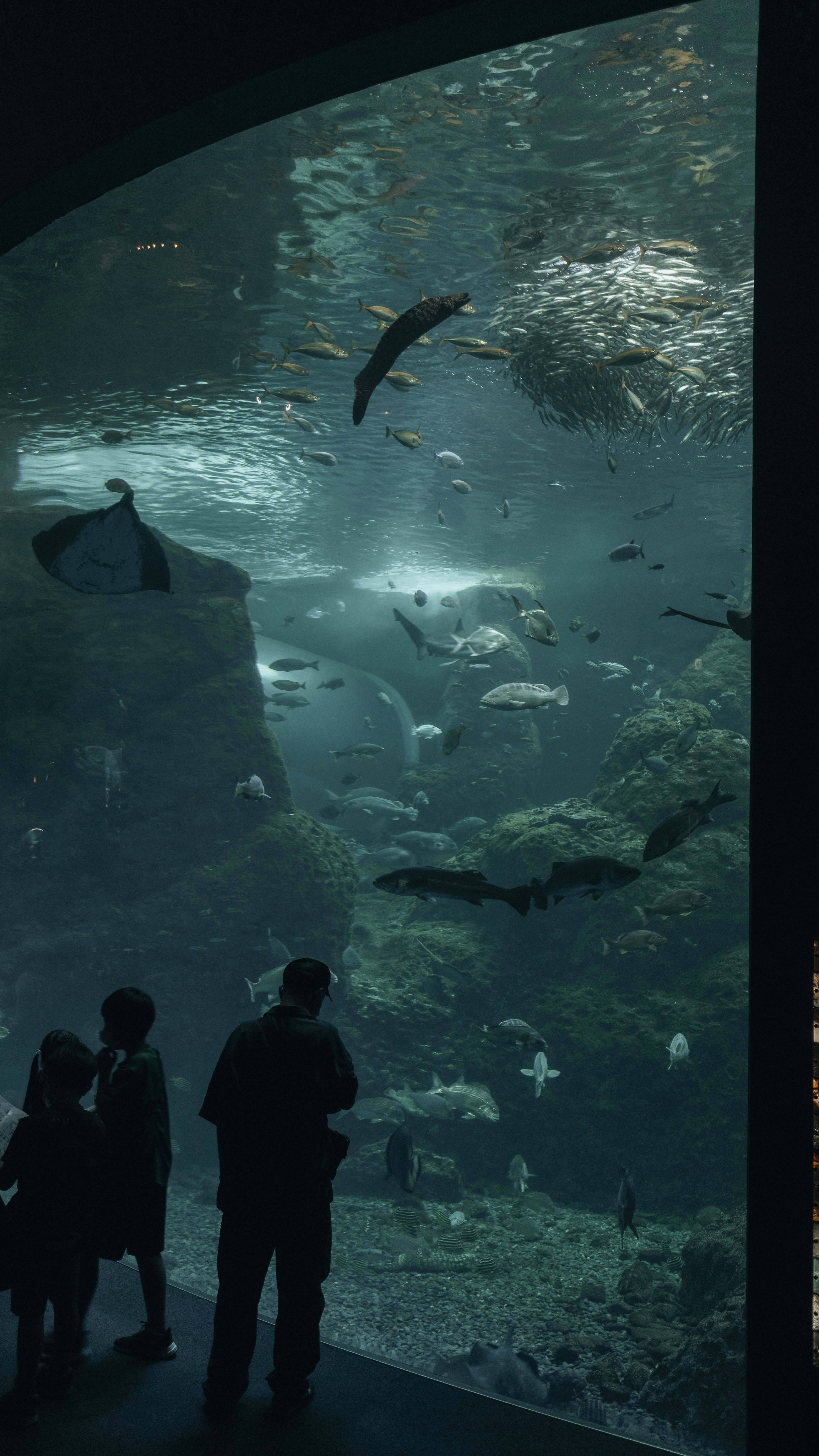 People watch fish in a large aquarium tank.