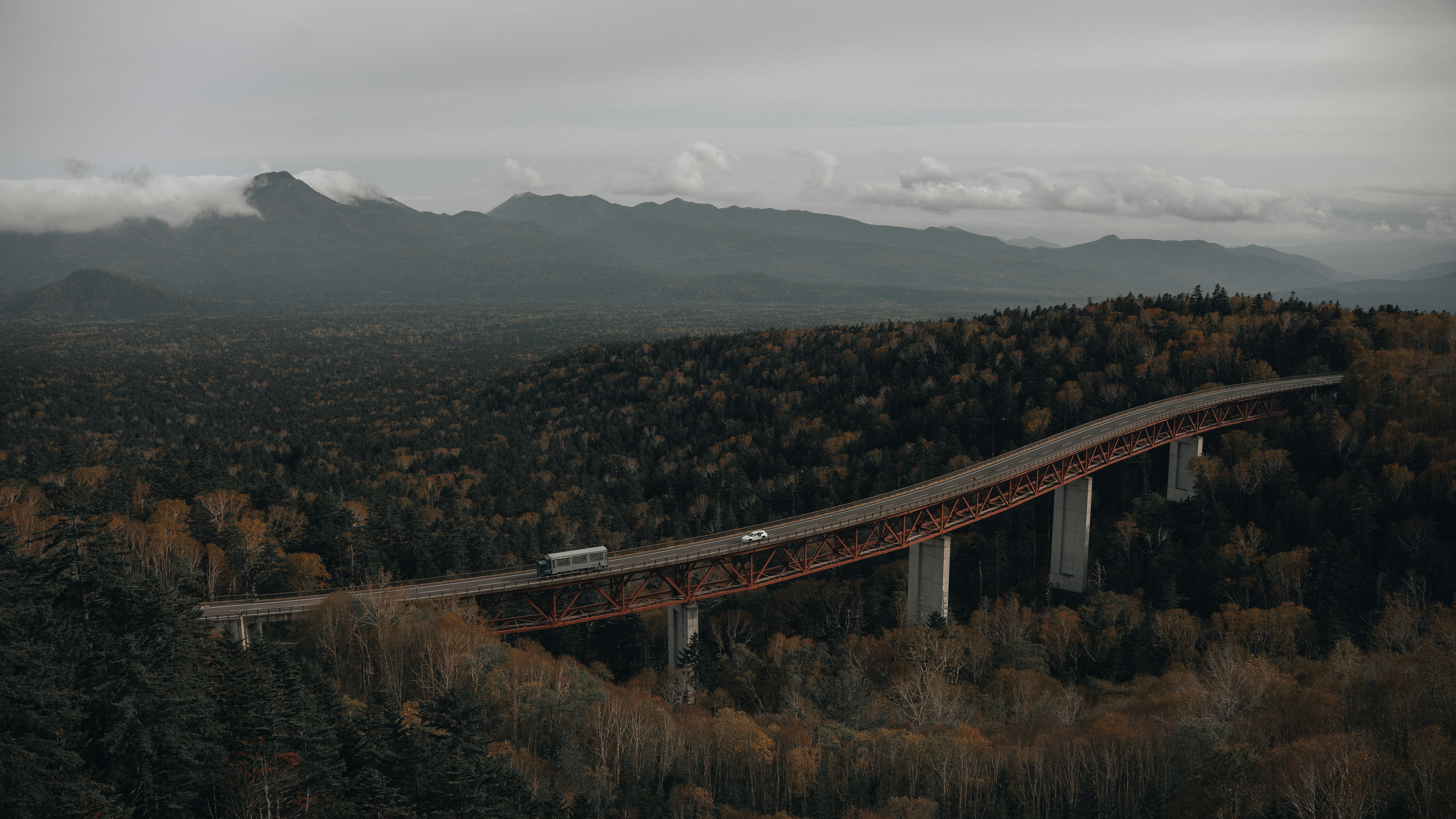 The Serpentine Escape: A Journey Through Autumn's Embrace