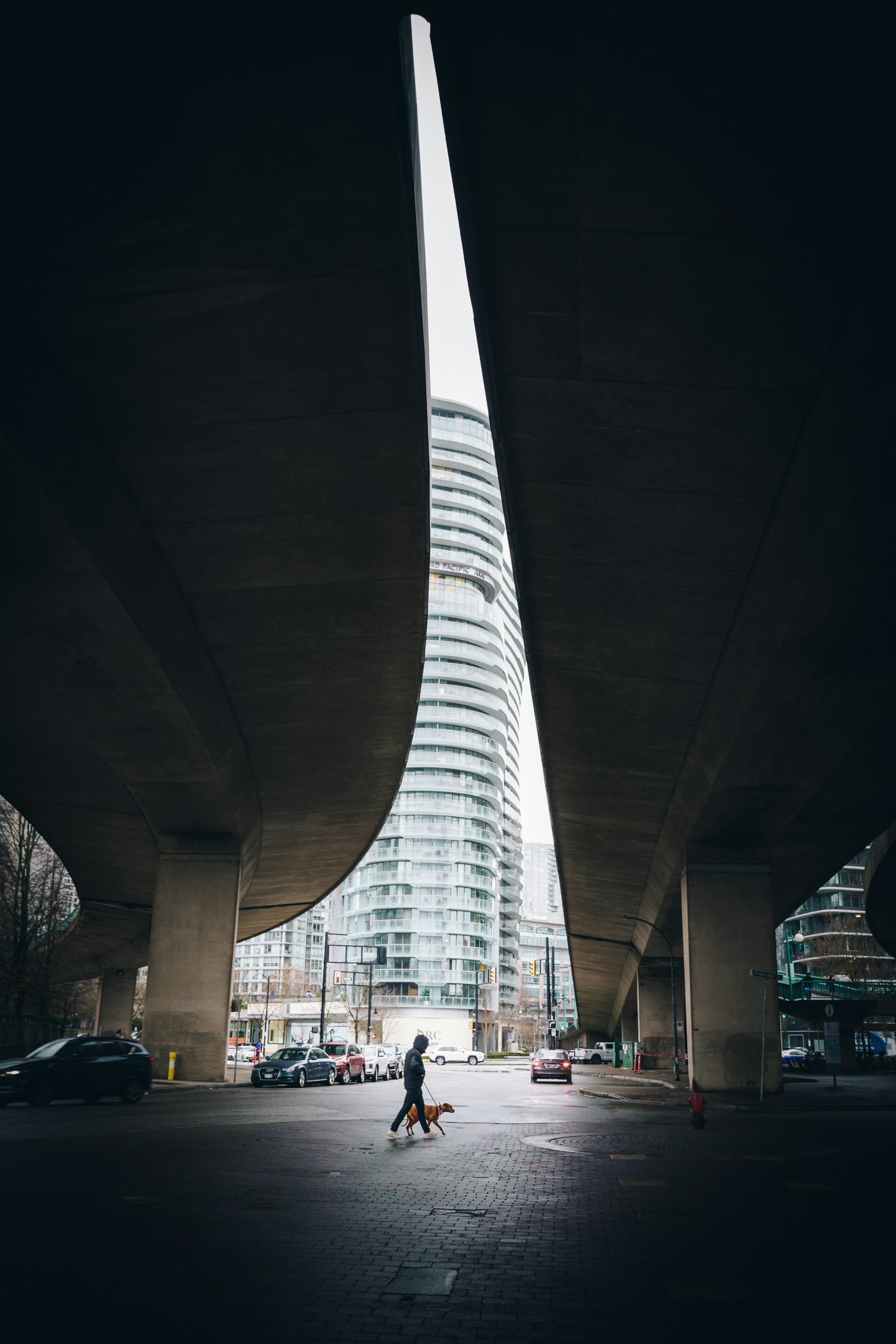 Urban Canopy: A Walk Beneath the Concrete Arches