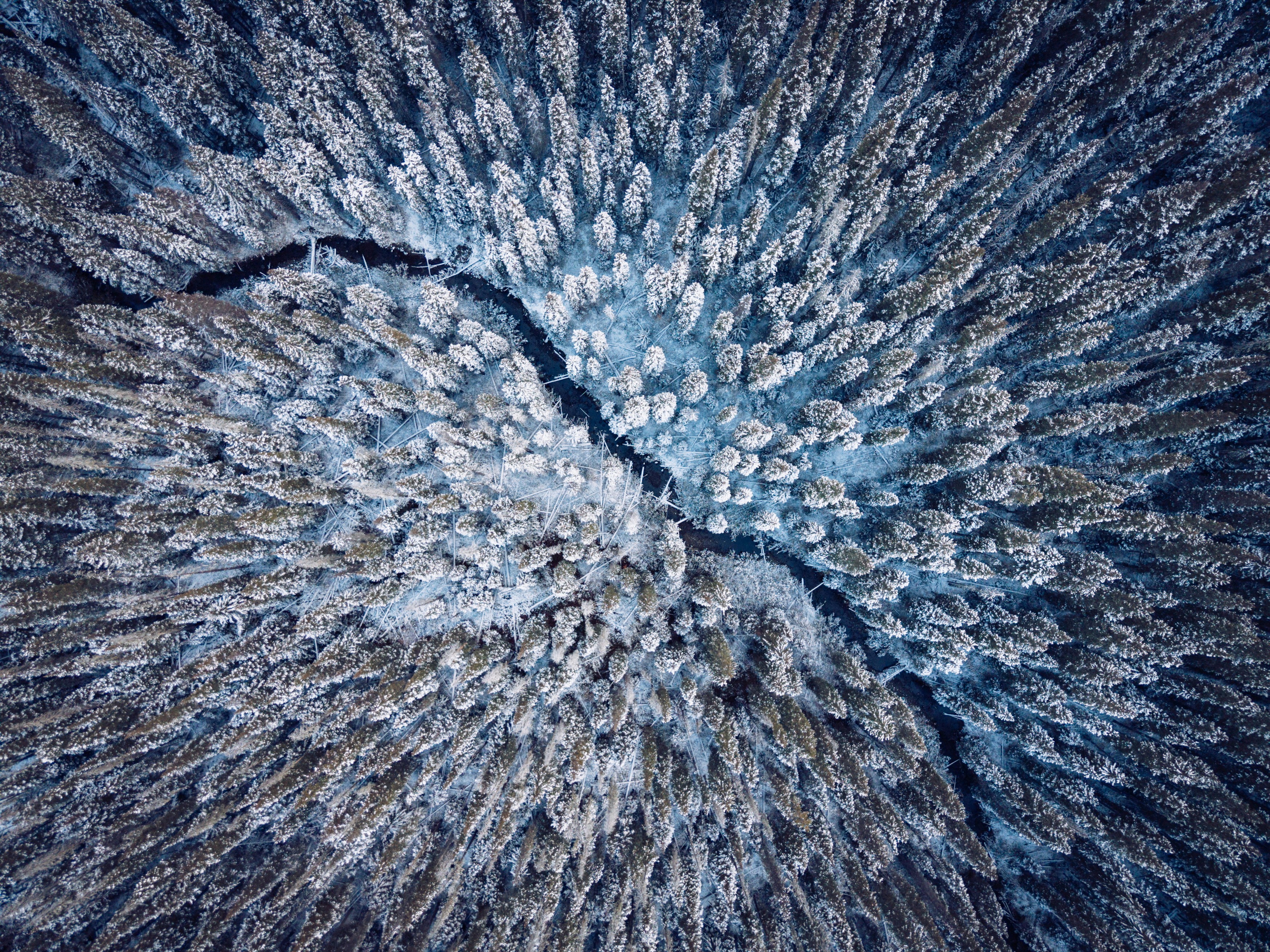 Sample photo from DJI Mini 5 Pro