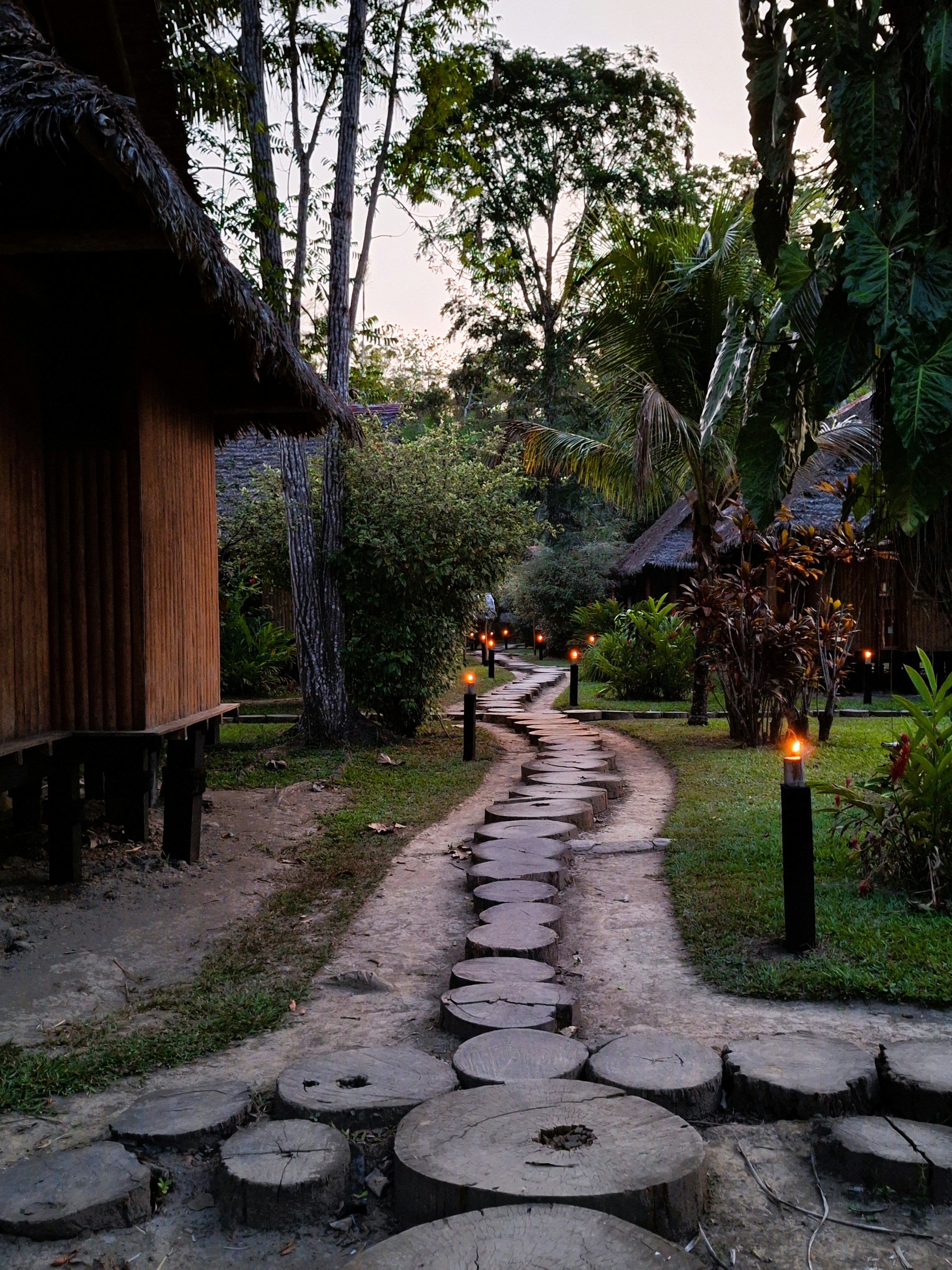 Whispers of Twilight: A Pathway Through Nature's Embrace