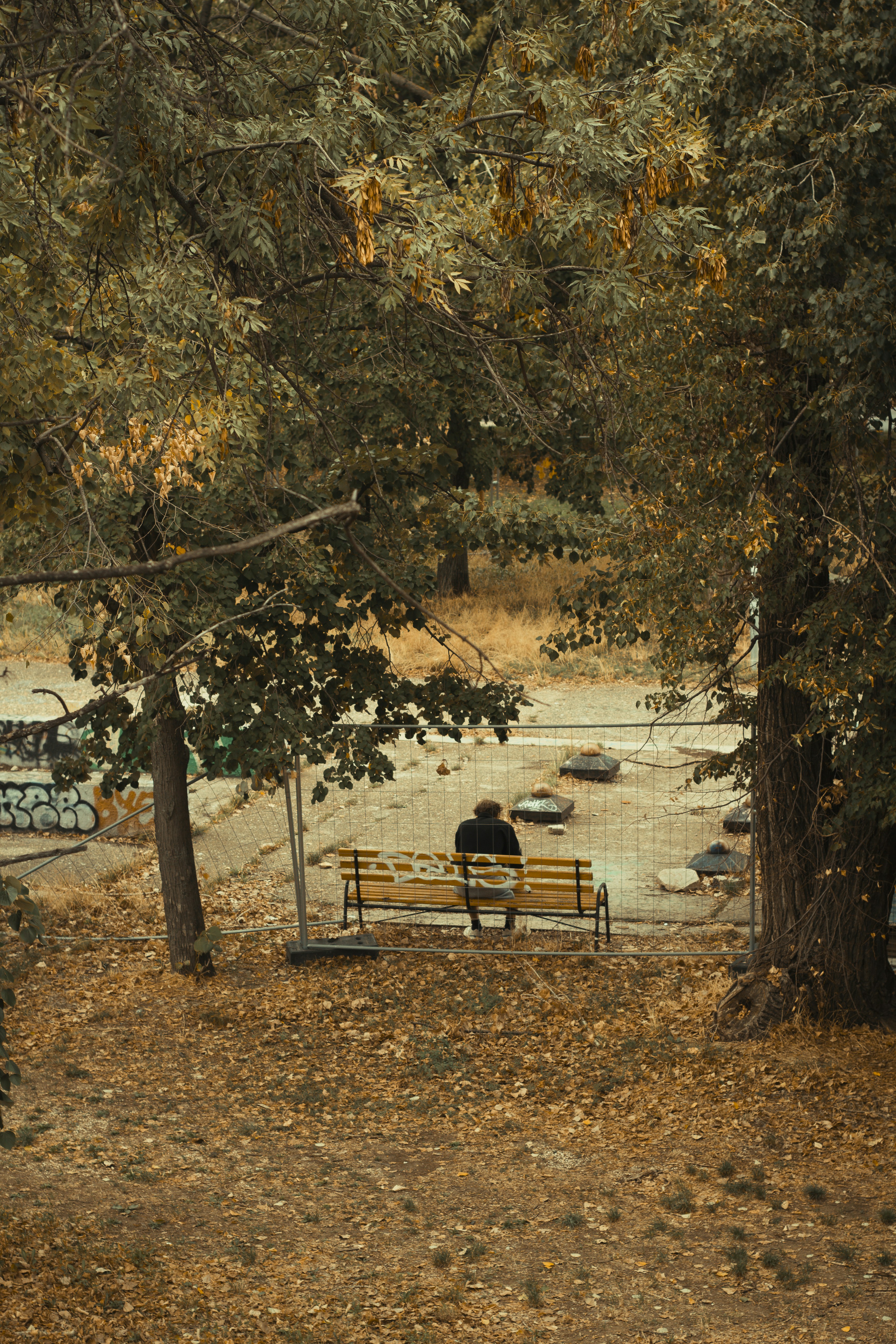 A solitary figure sits on a bench surrounded by autumn foliage, evoking a sense of reflection and tranquility. The scene captures the essence of change in a park setting.