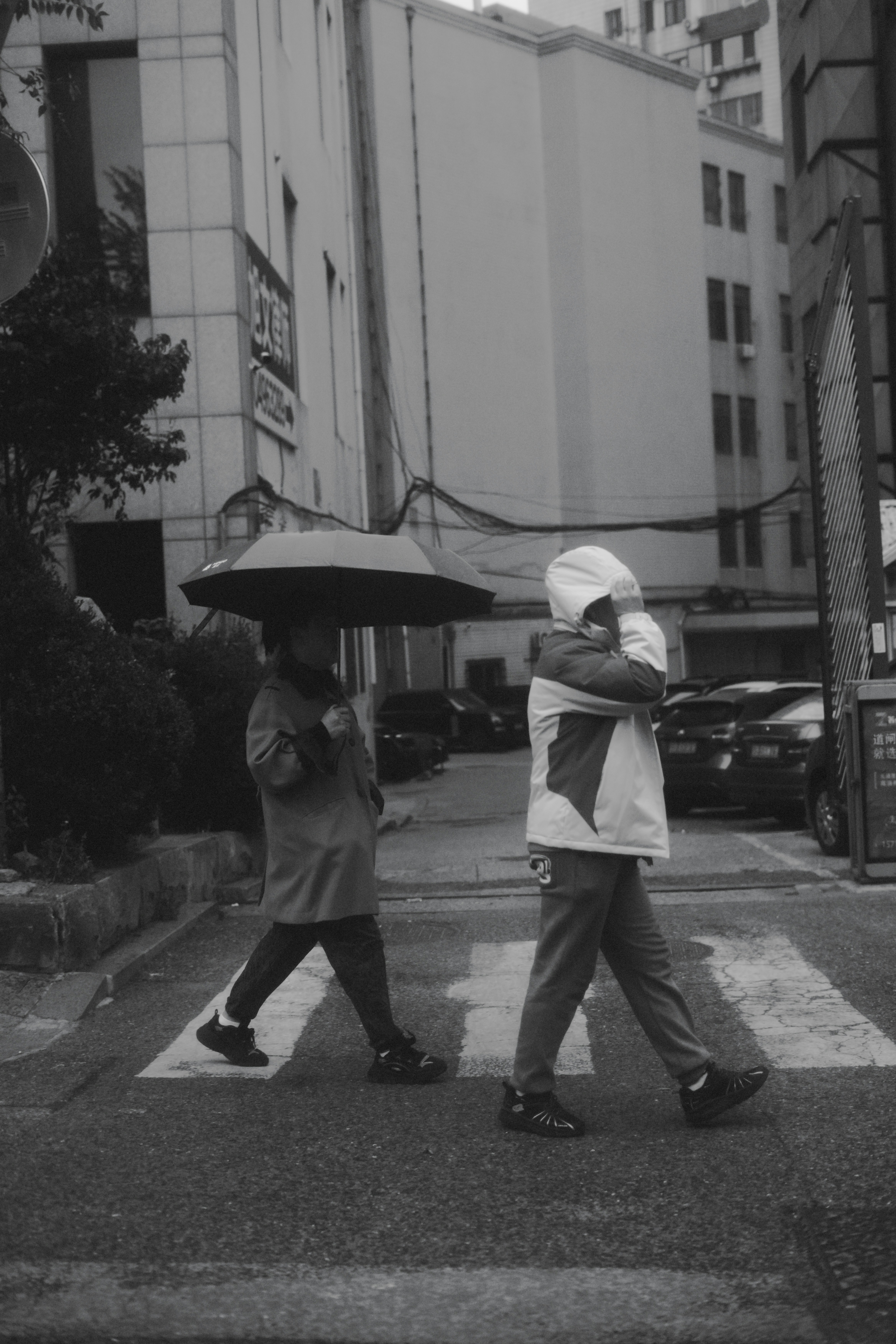 Two people cross a street under an umbrella. photo – Free Weather Image ...