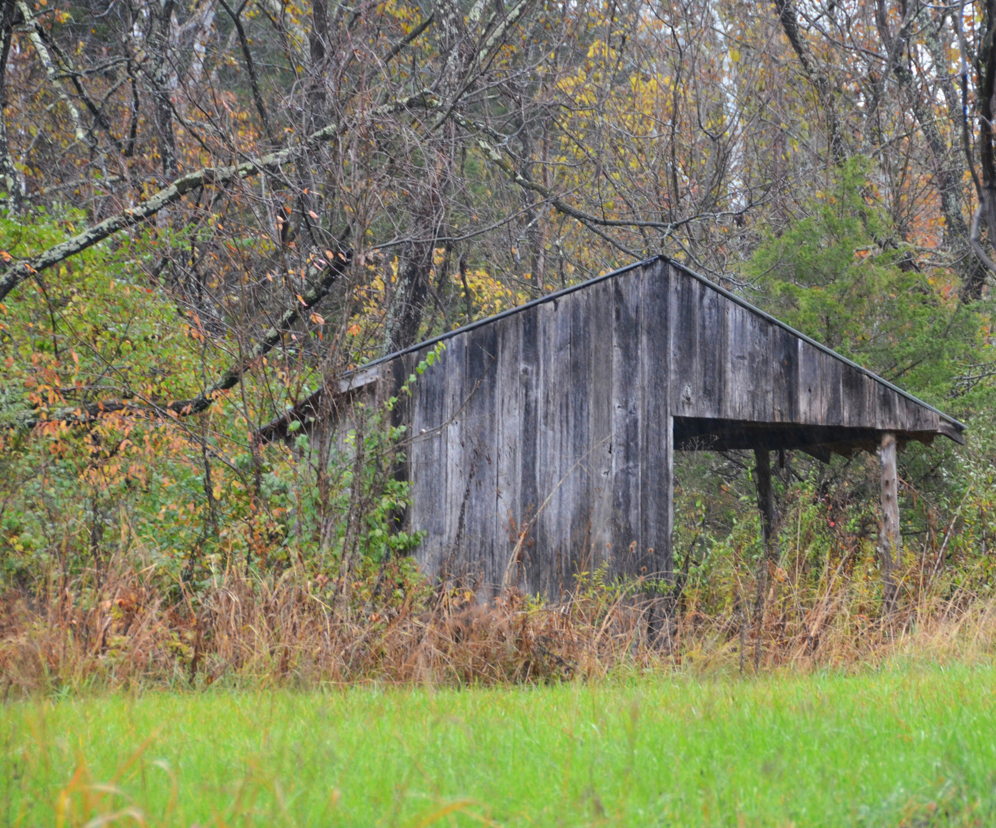 Old wooden shed in overgrown autumn landscape photo – Free Countryside ...