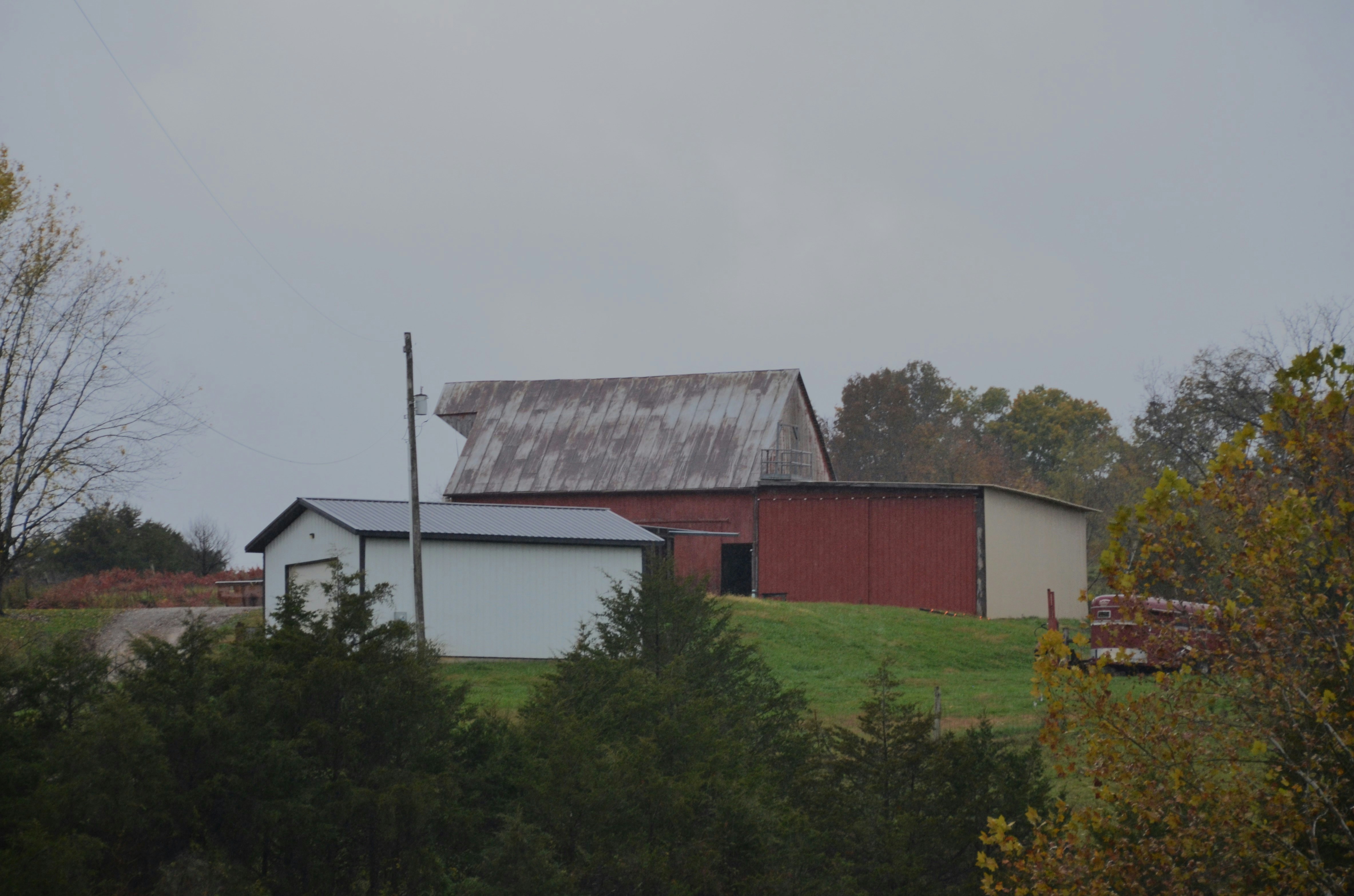 Rustic Harmony: A Farmstead in Autumn's Embrace