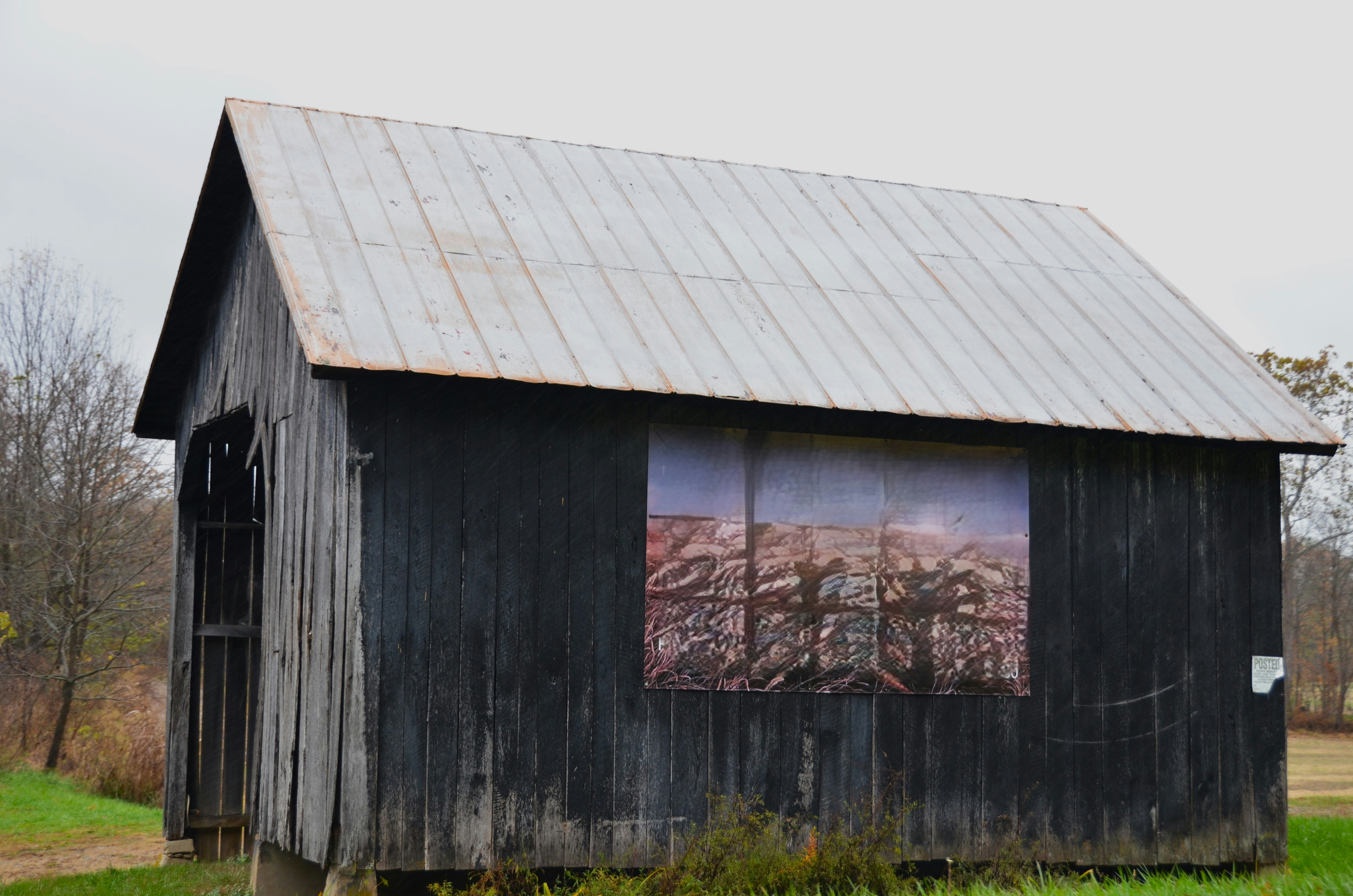 Echoes of the Past: A Rustic Canvas