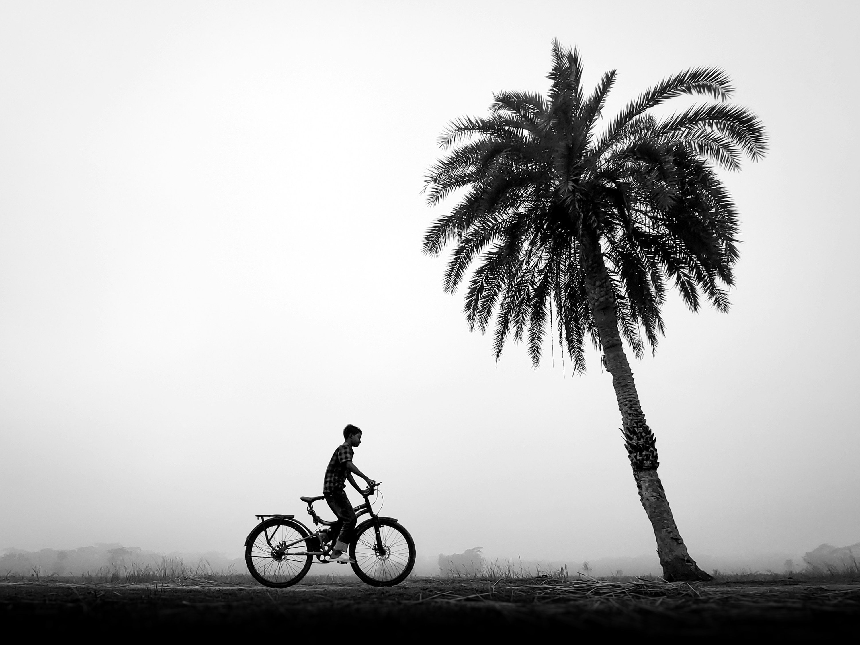 Journey Through Mist: A Solitary Ride