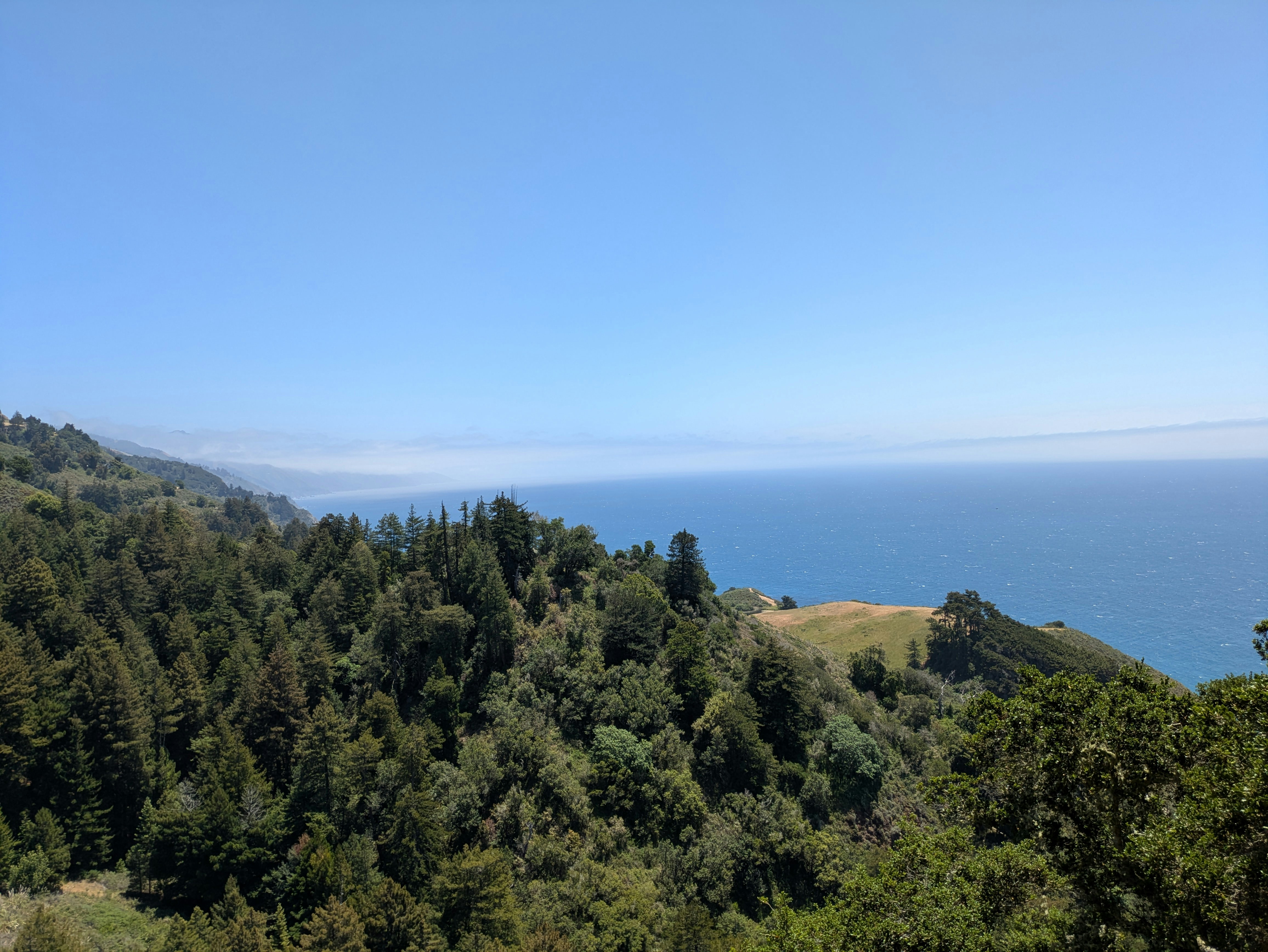 Forest overlooking the ocean on a clear day