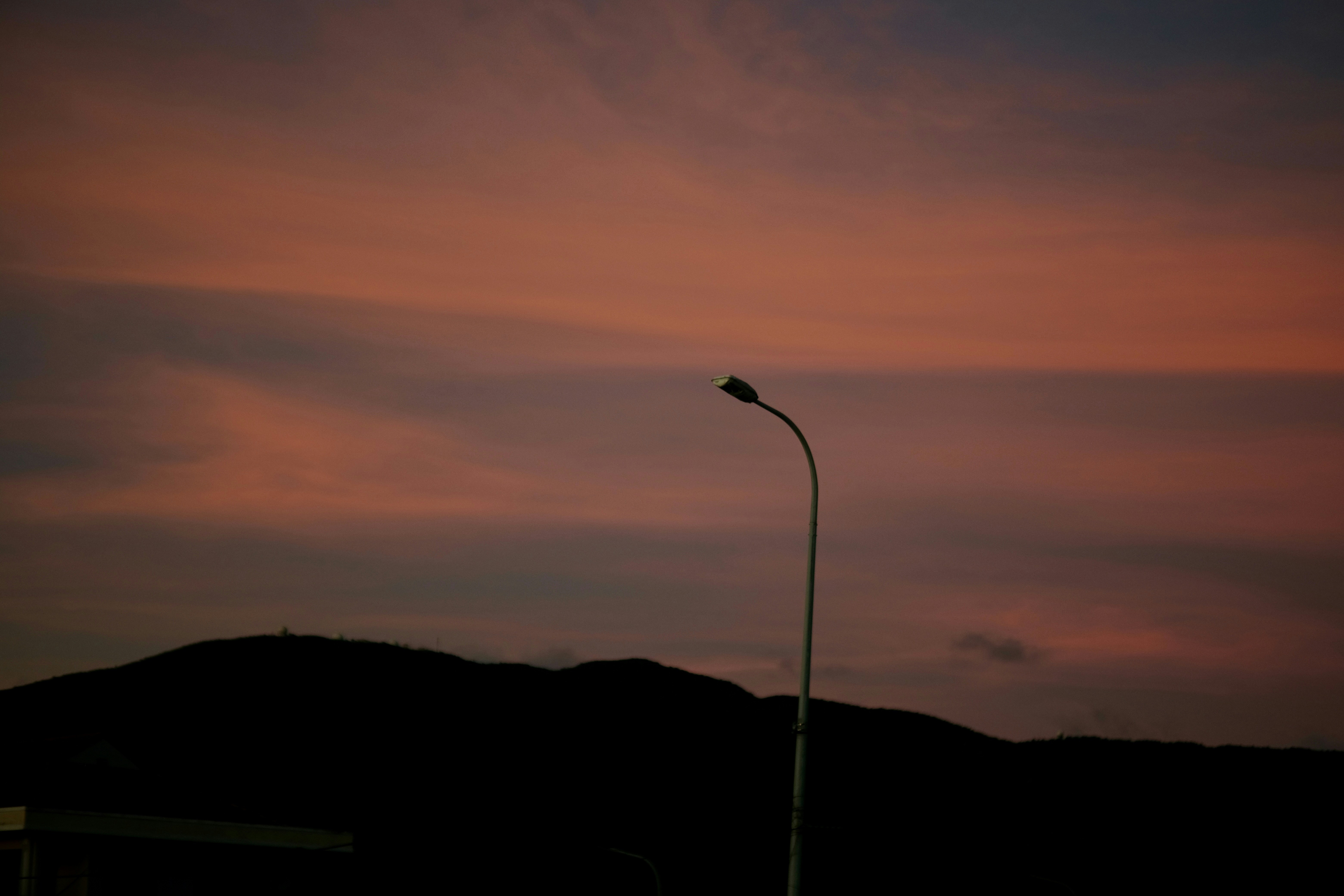Whispers of Dusk: A Streetlight's Solitude