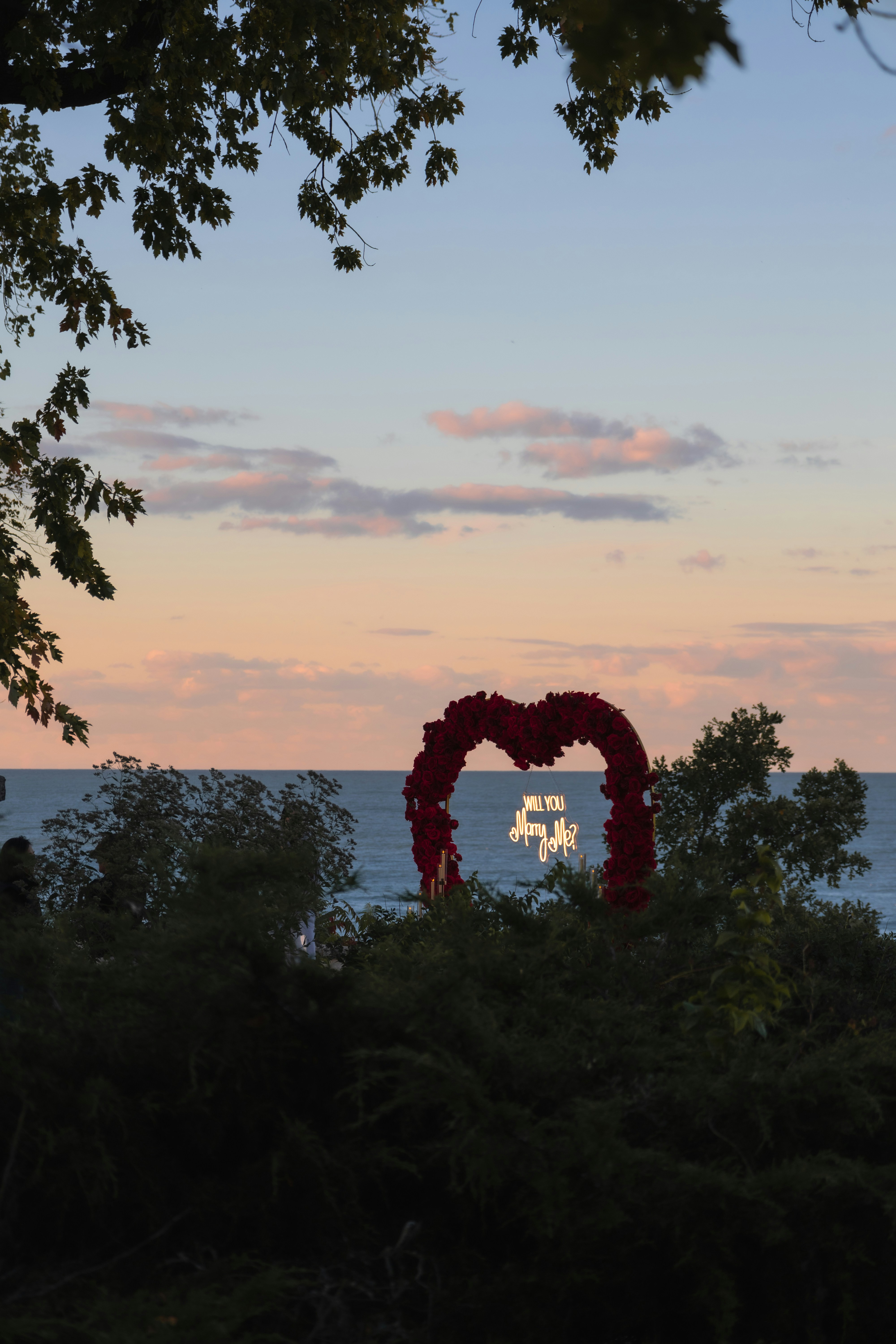Romantic Proposal at Dusk