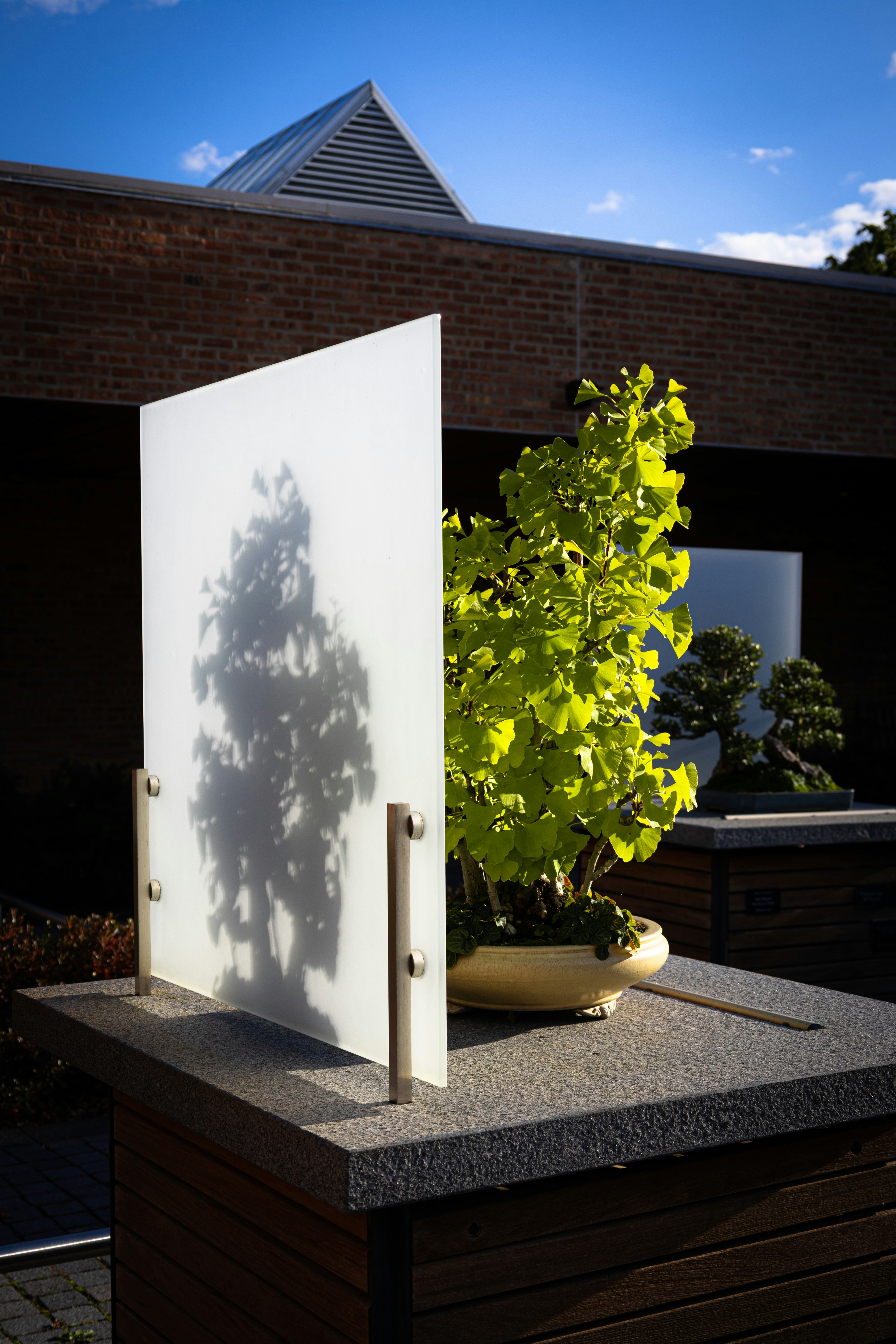 Shadow Play on a Frosted Panel: Rooftop Planting