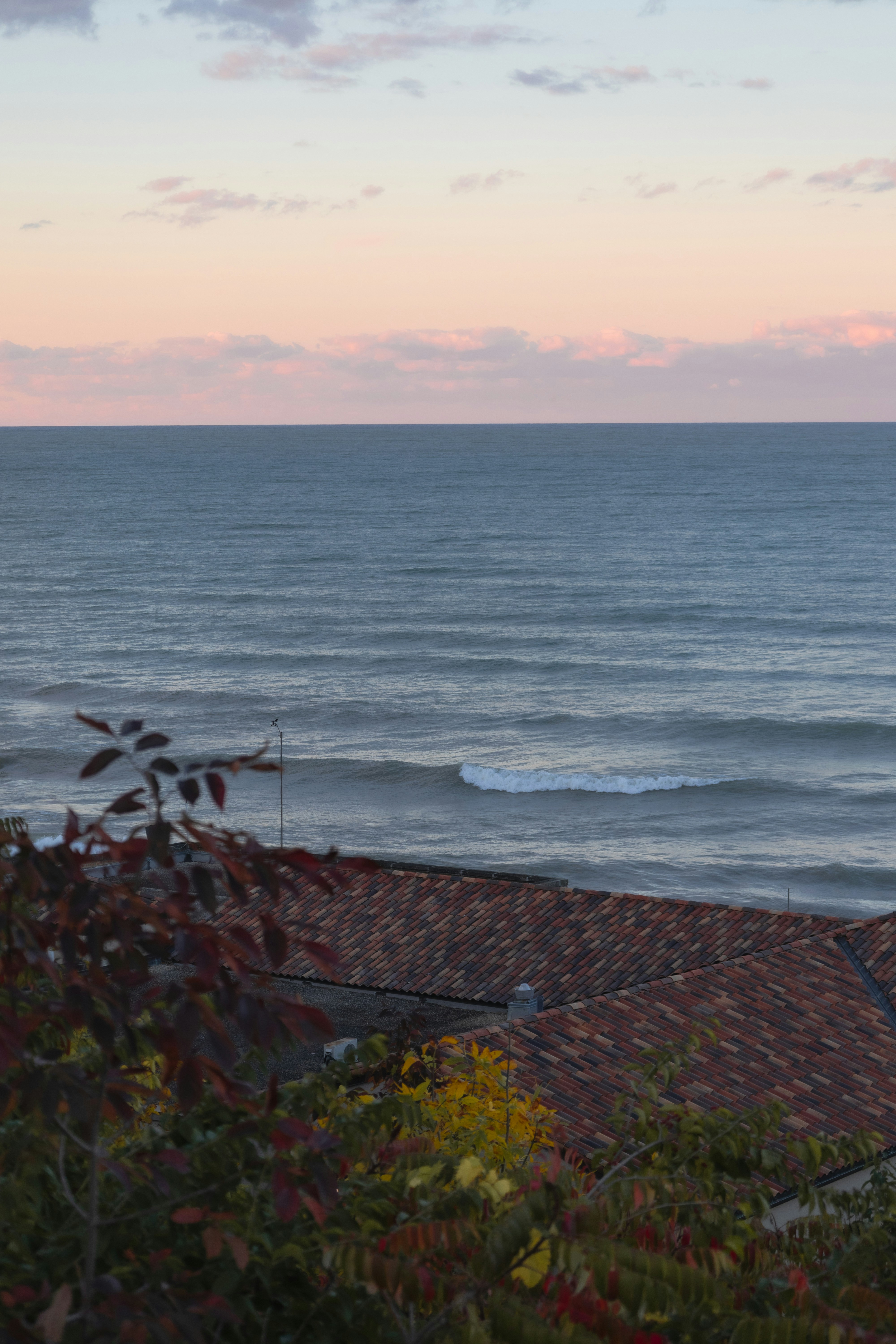 Quiet shoreline at sunset framed by foreground foliage
