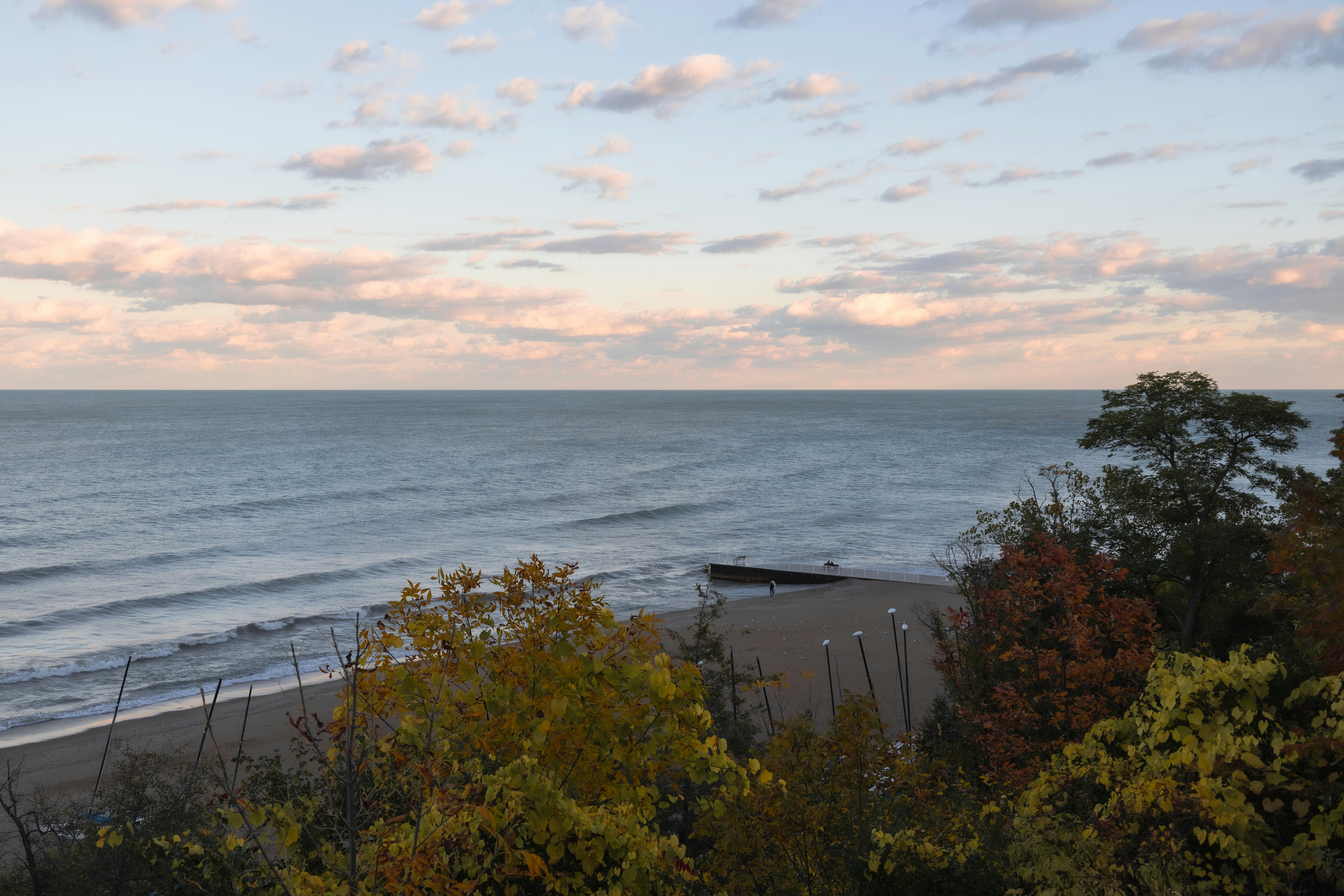 Horizon of Quiet Light: Autumn Coastline from a Cliffside Lookout