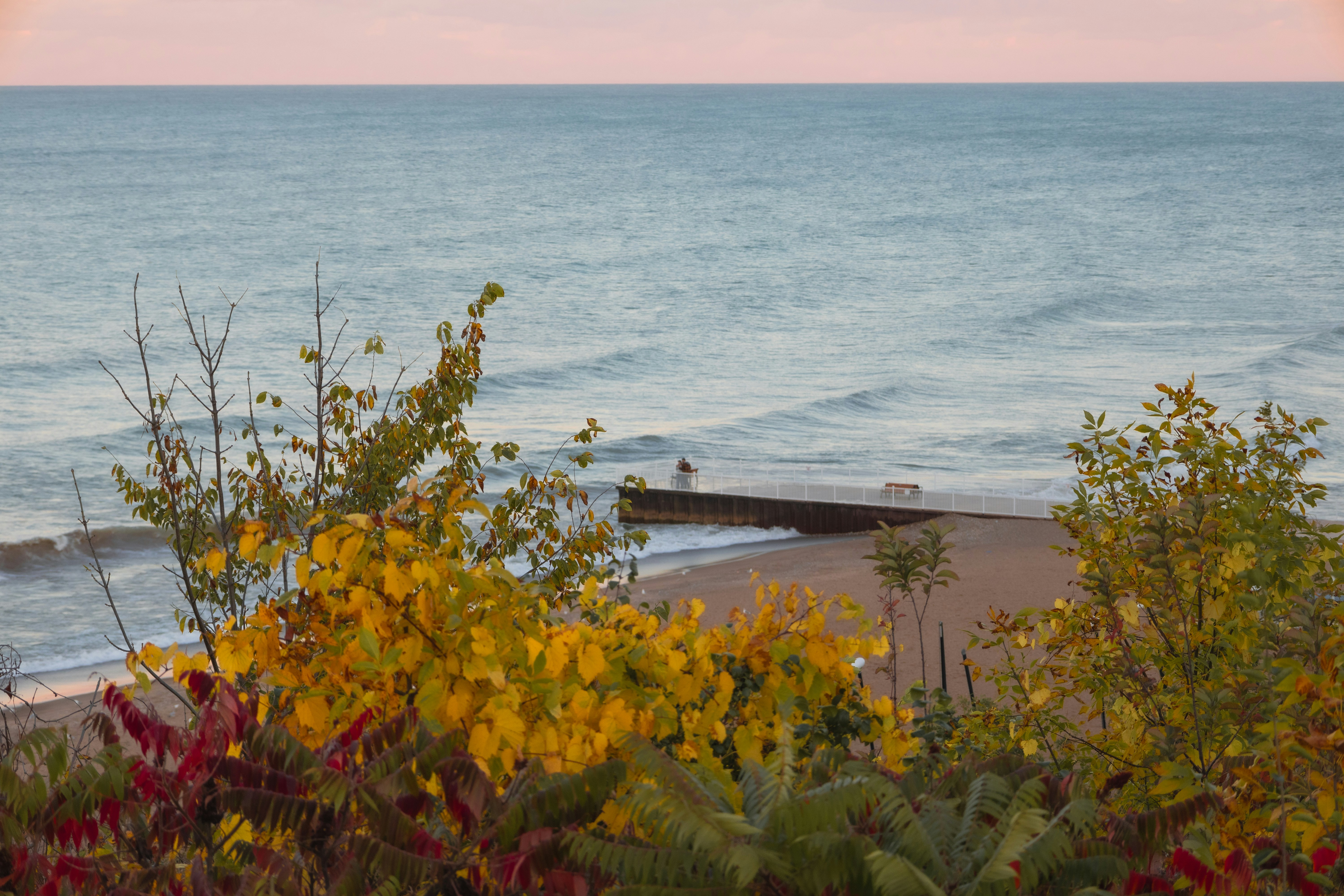 Autumn Veil Over a Quiet Sea: Foliage Framing a Coastal Breakwater