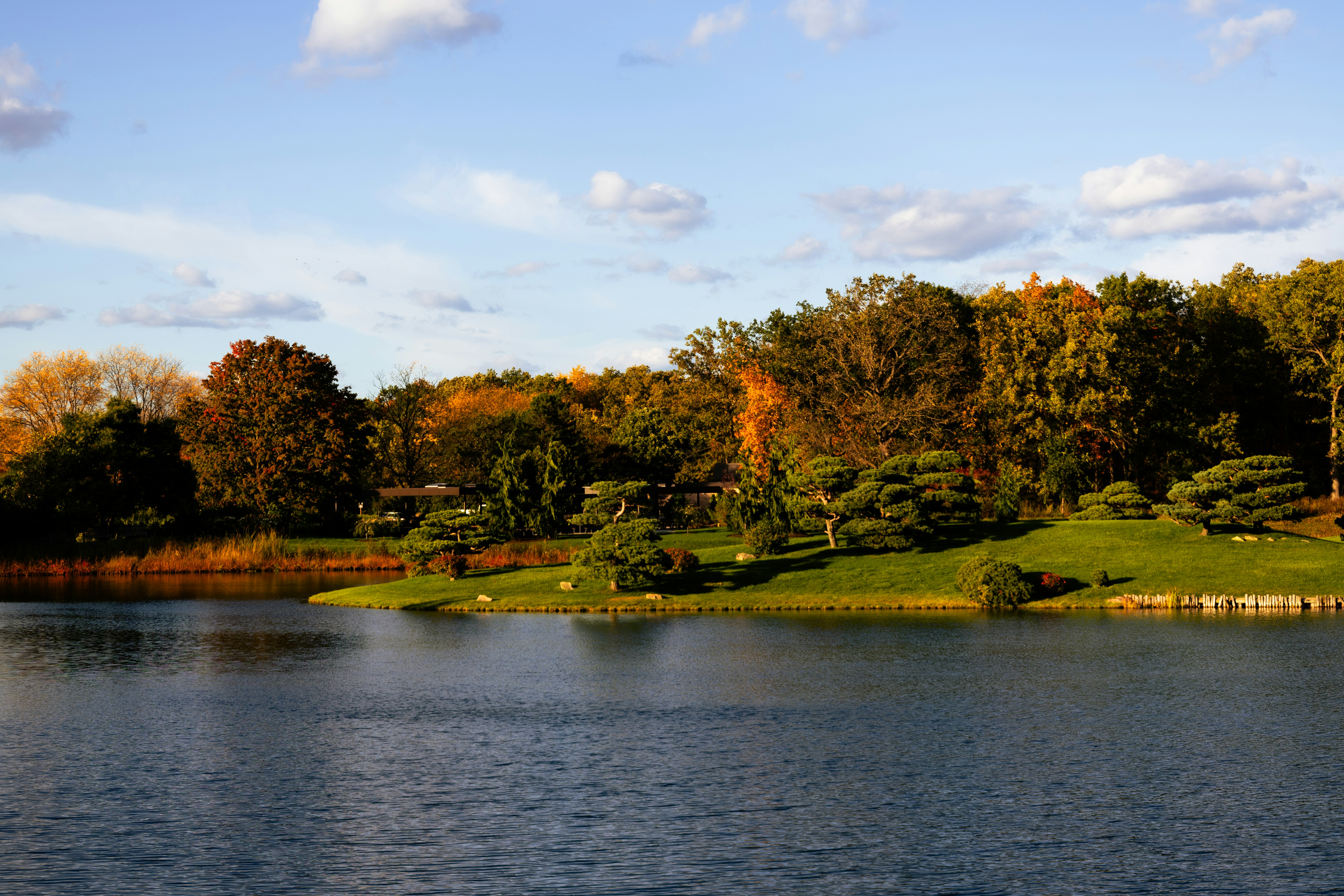Autumn Lake Vista: Golden Trees Fringe a Calm Shoreline