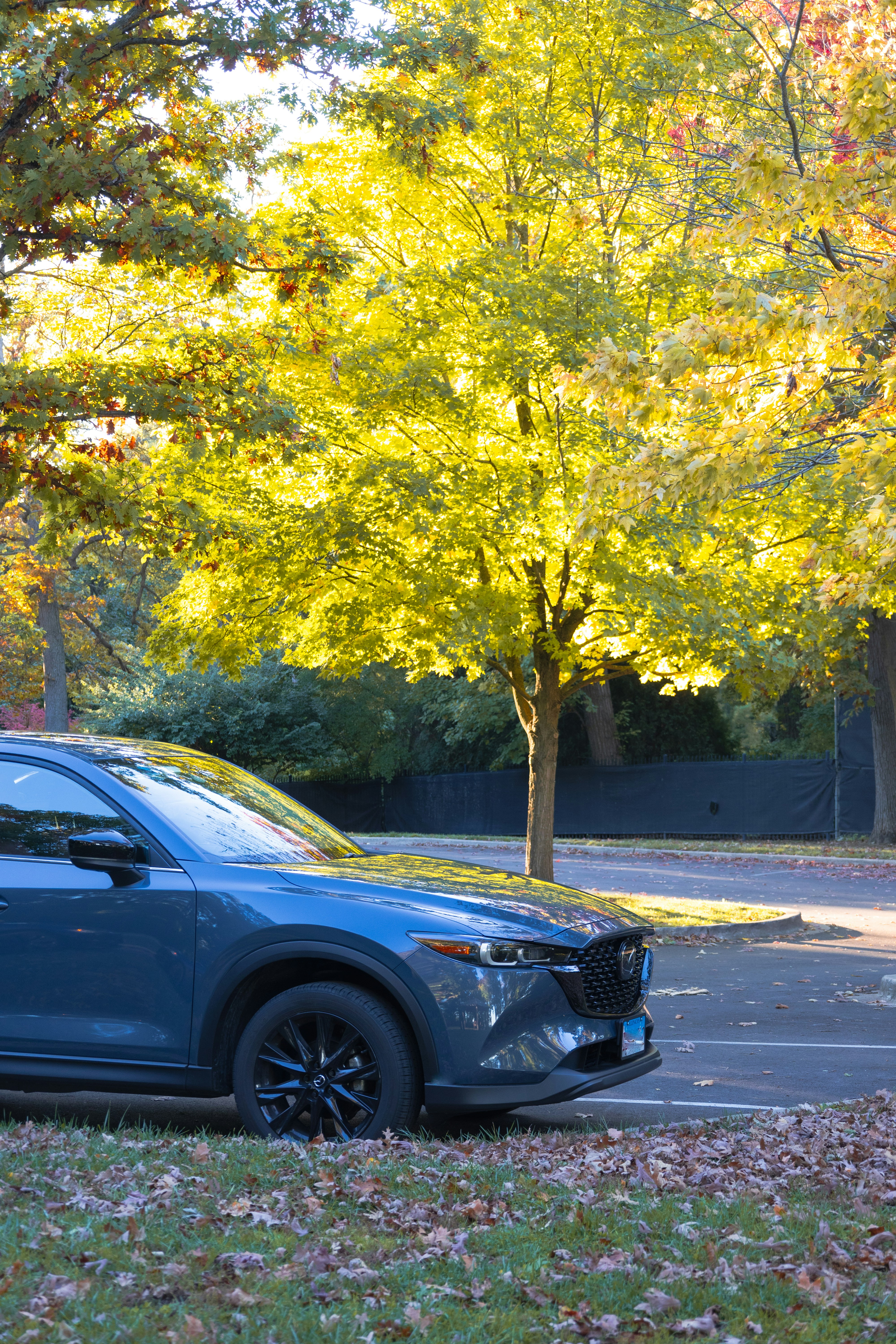 Autumn's Embrace: A Stylish Ride Amidst Golden Foliage