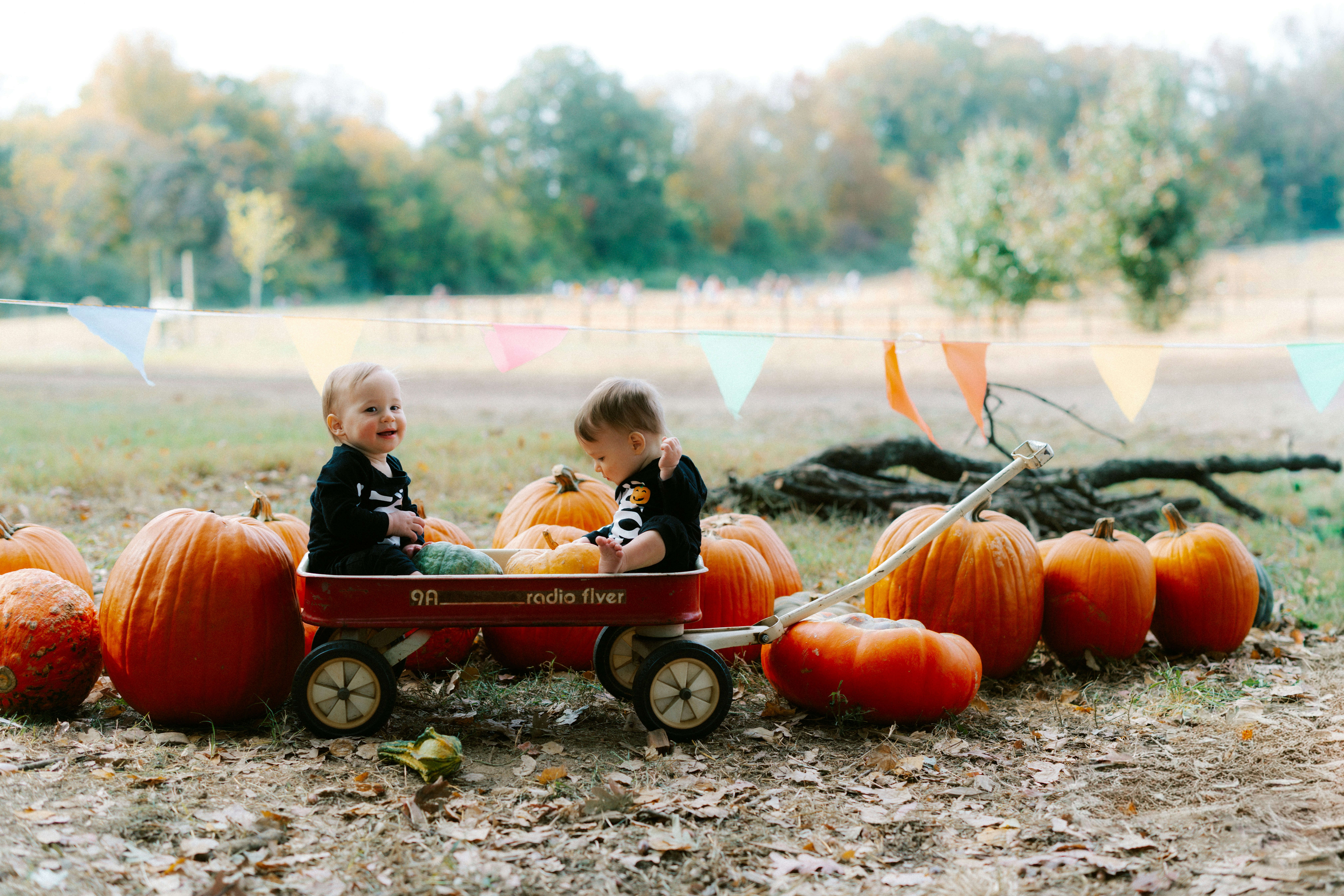 Photo by Brooke Balentine with Canon EOS R5 Mark II