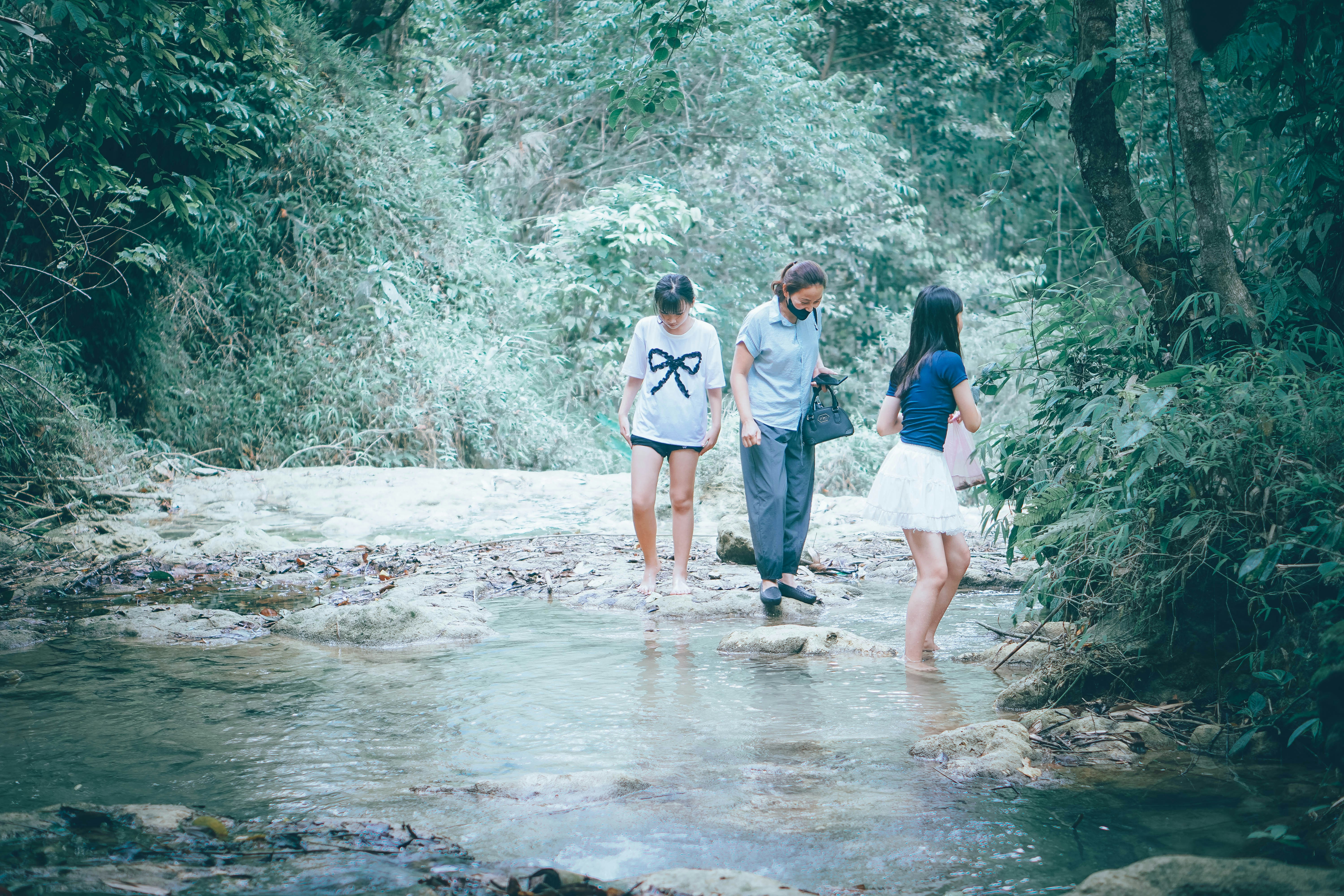 Three individuals wade through a shallow stream surrounded by lush greenery, enjoying a tranquil day outdoors.