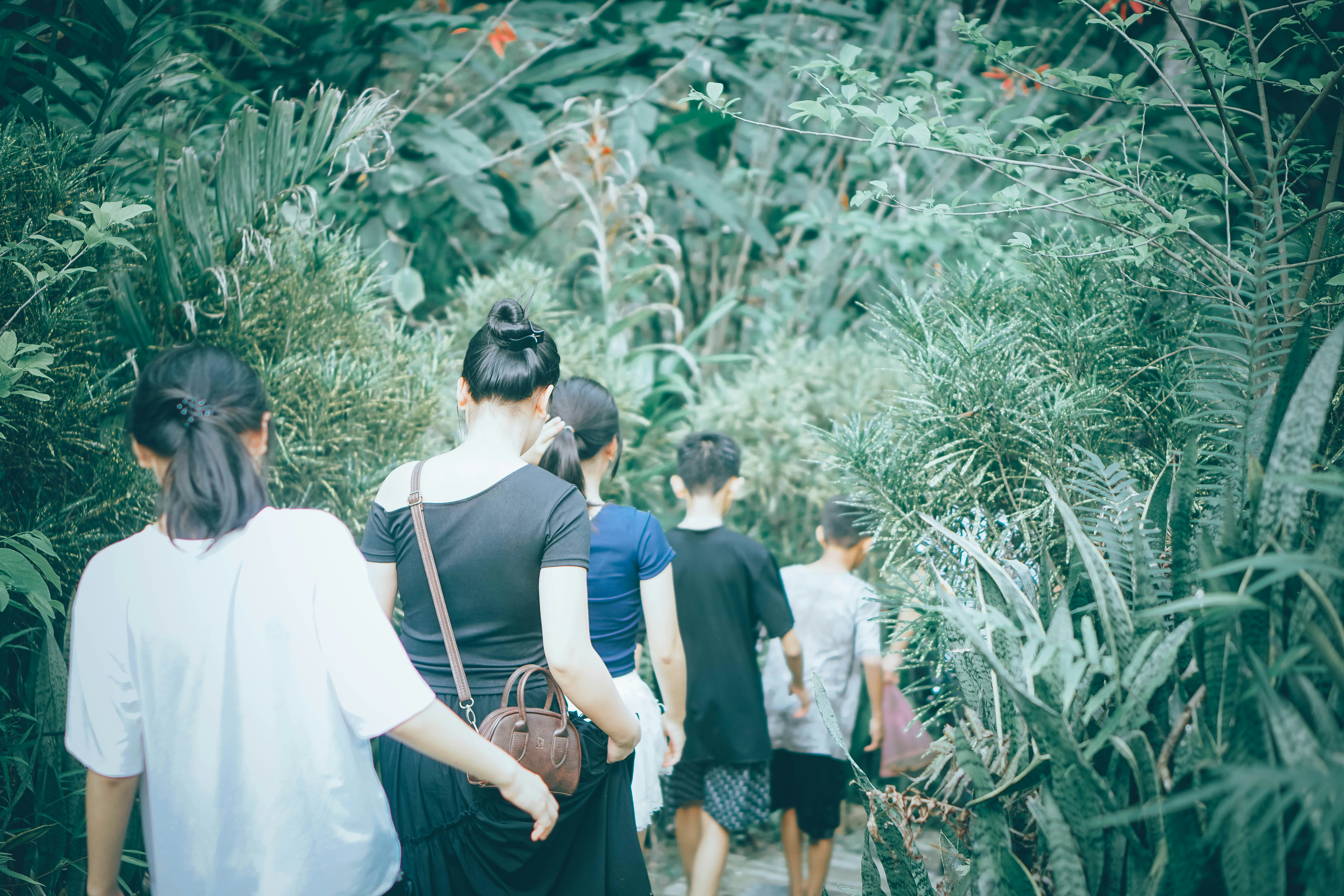 Family walking through a lush green forest path