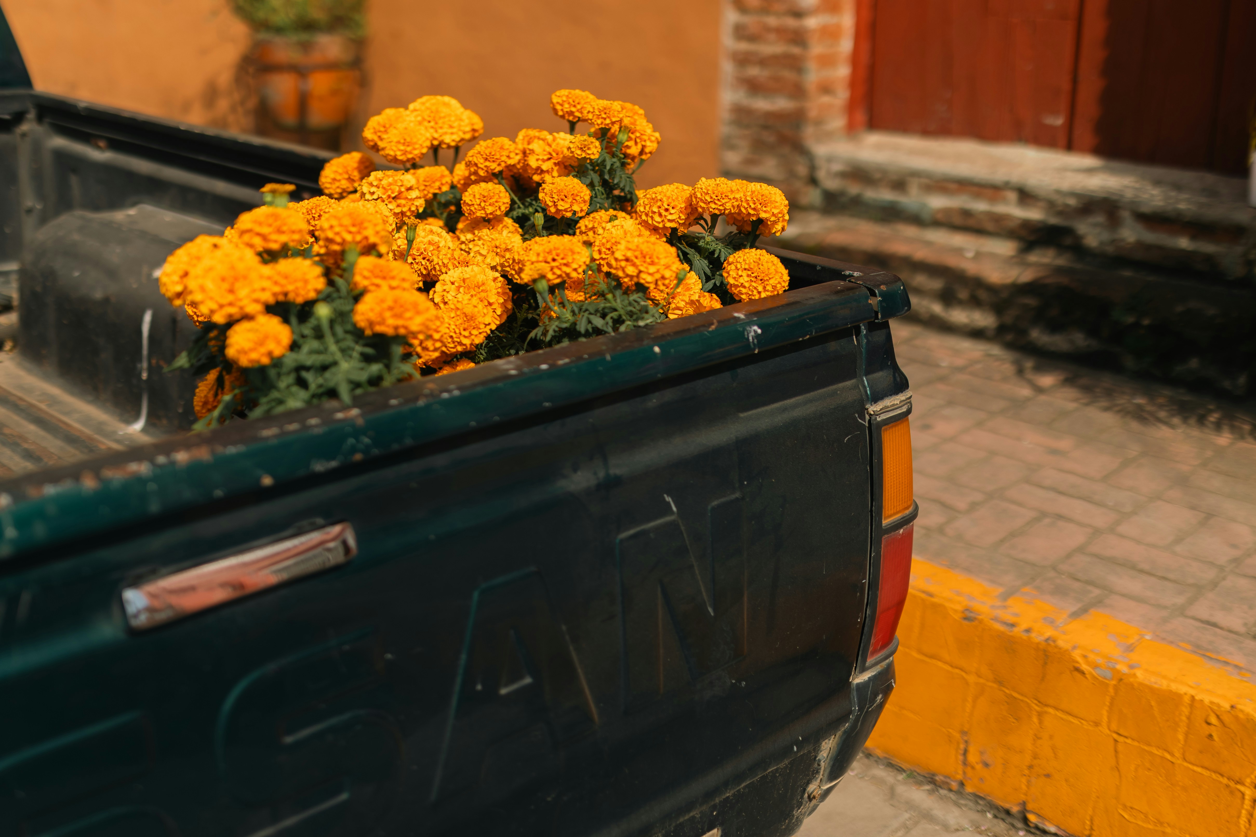Vibrant Blooms on Wheels
