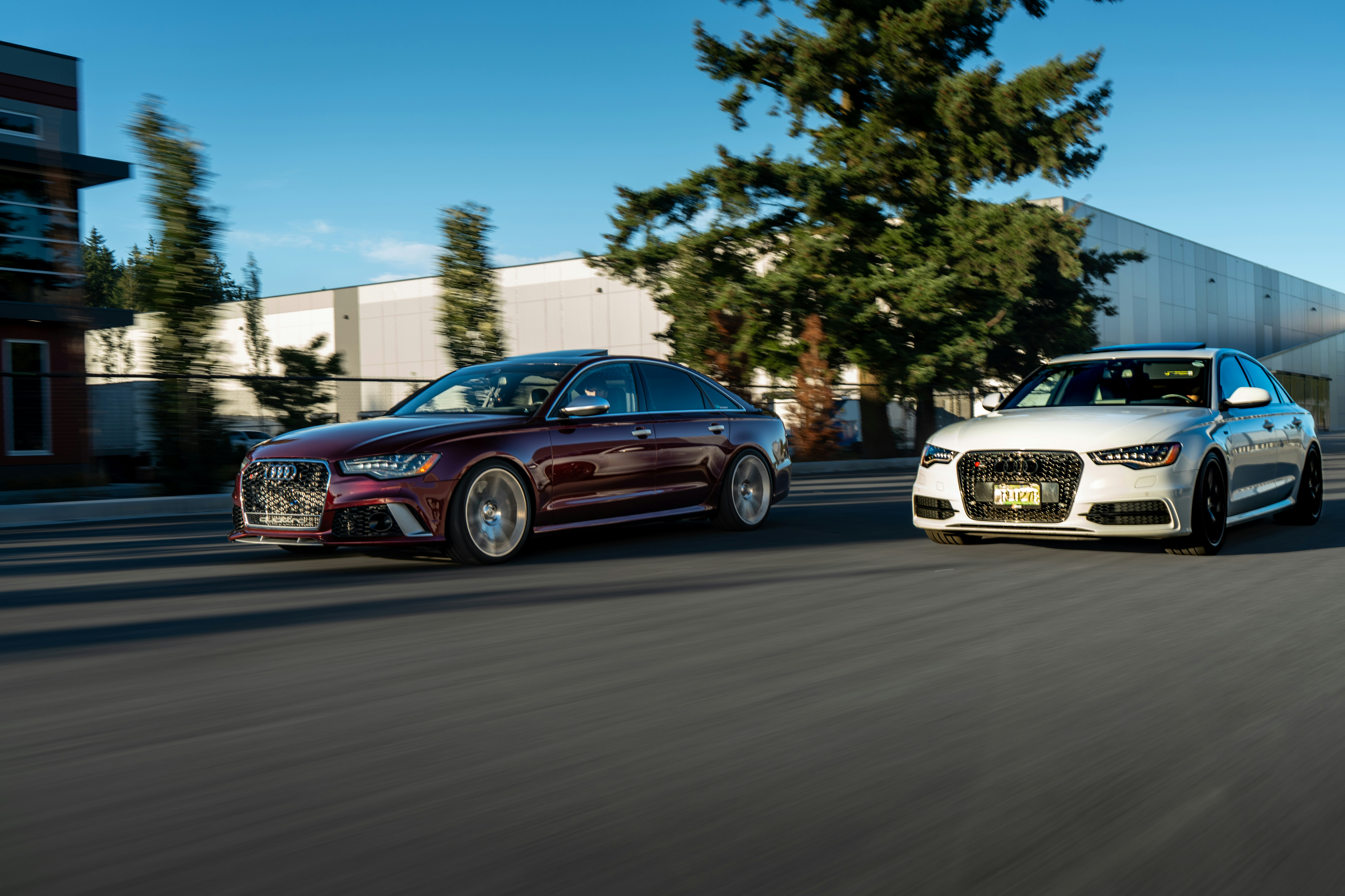 Two sleek Audi sedans racing down a smooth asphalt road, framed by tall trees and industrial buildings. The scene captures the essence of speed and elegance.