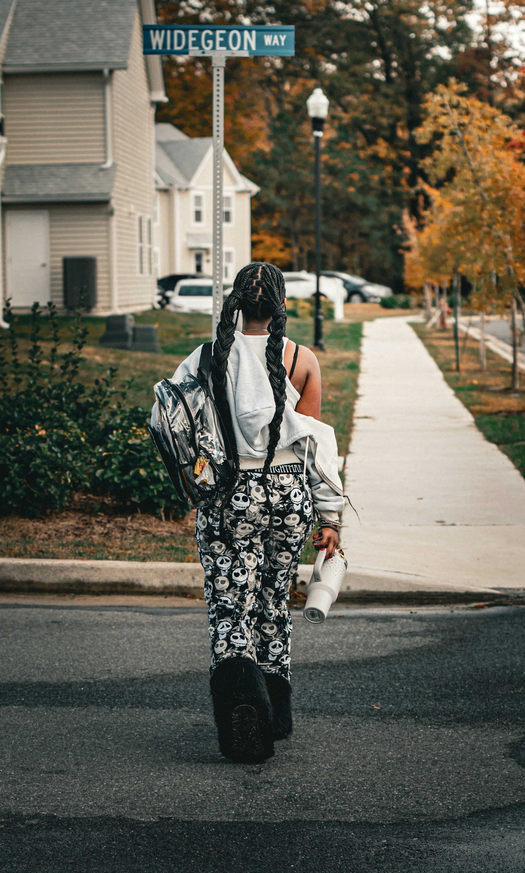 A Journey Down Widgeeon Way