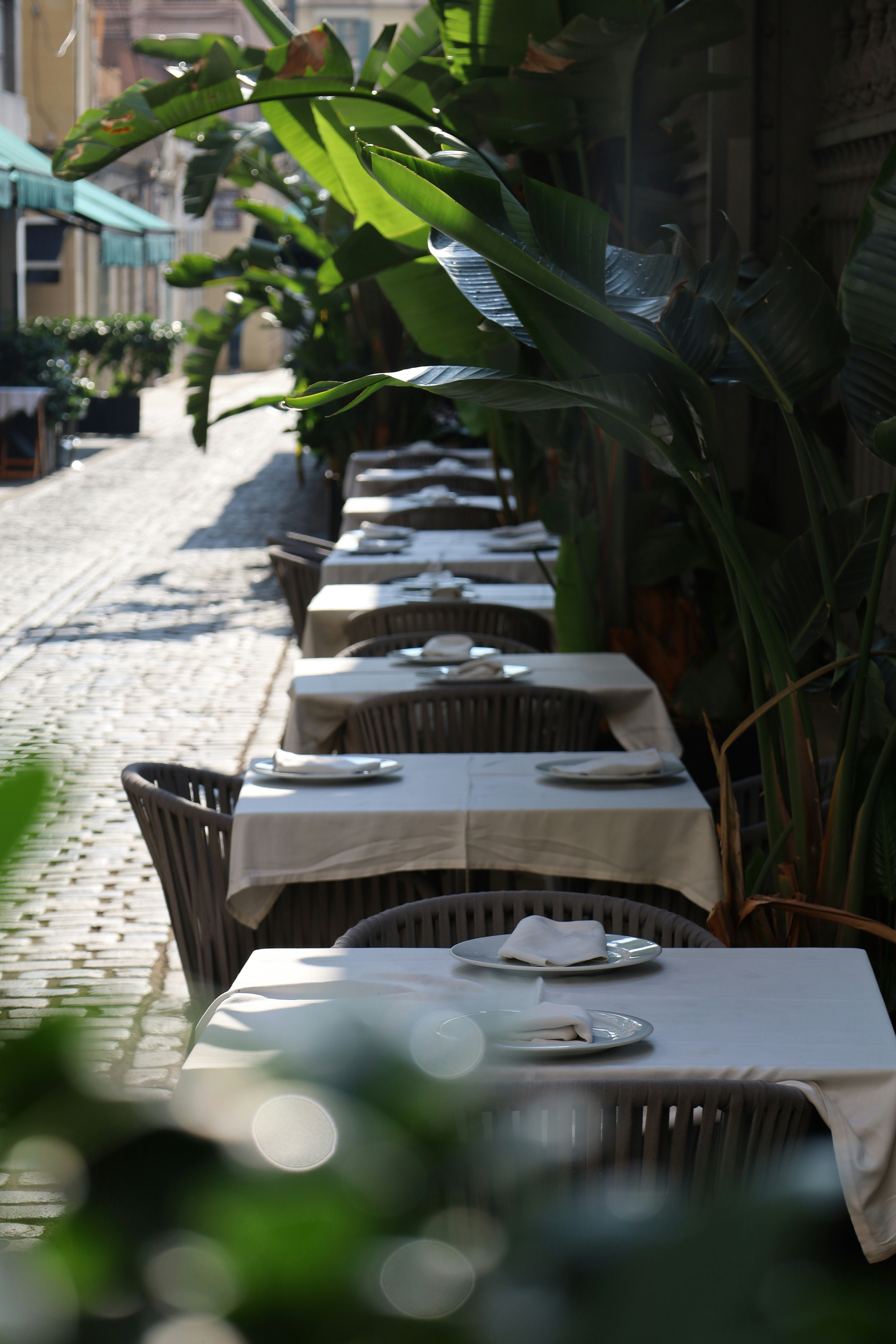 Serene Dining Oasis Amidst Urban Life