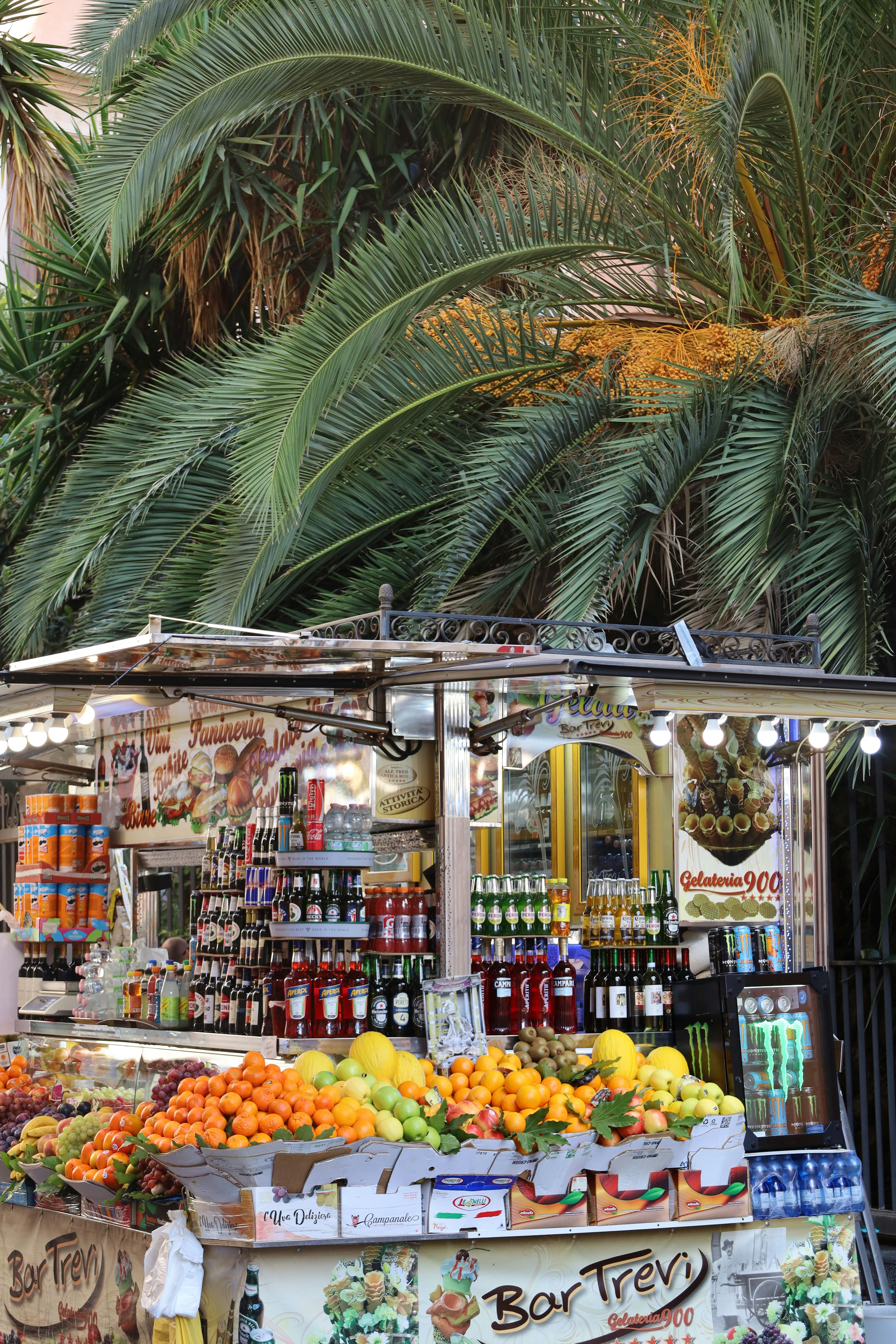 Vibrant Market Oasis Amidst Tropical Greens
