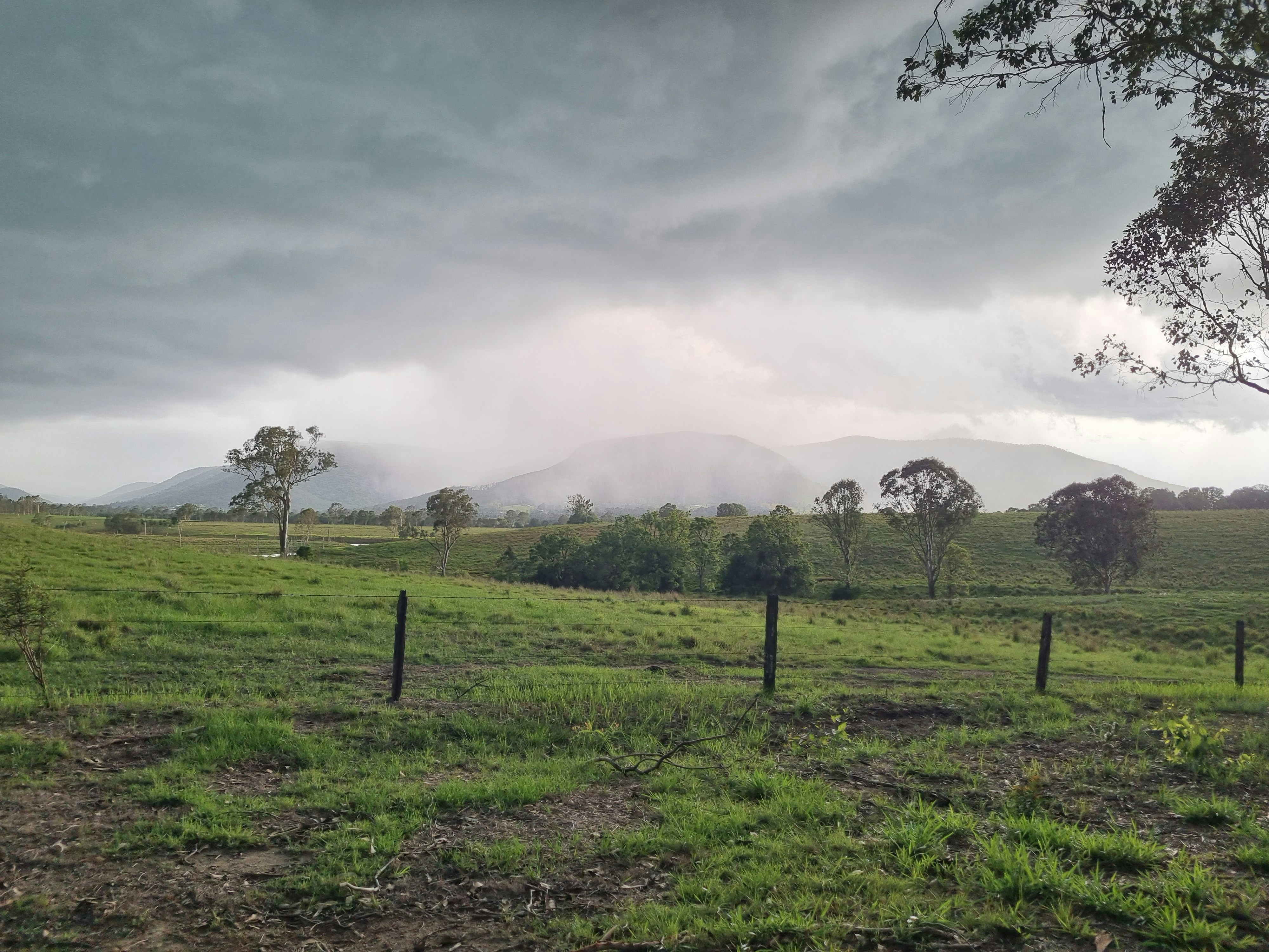 Whispers of the Stormy Horizon