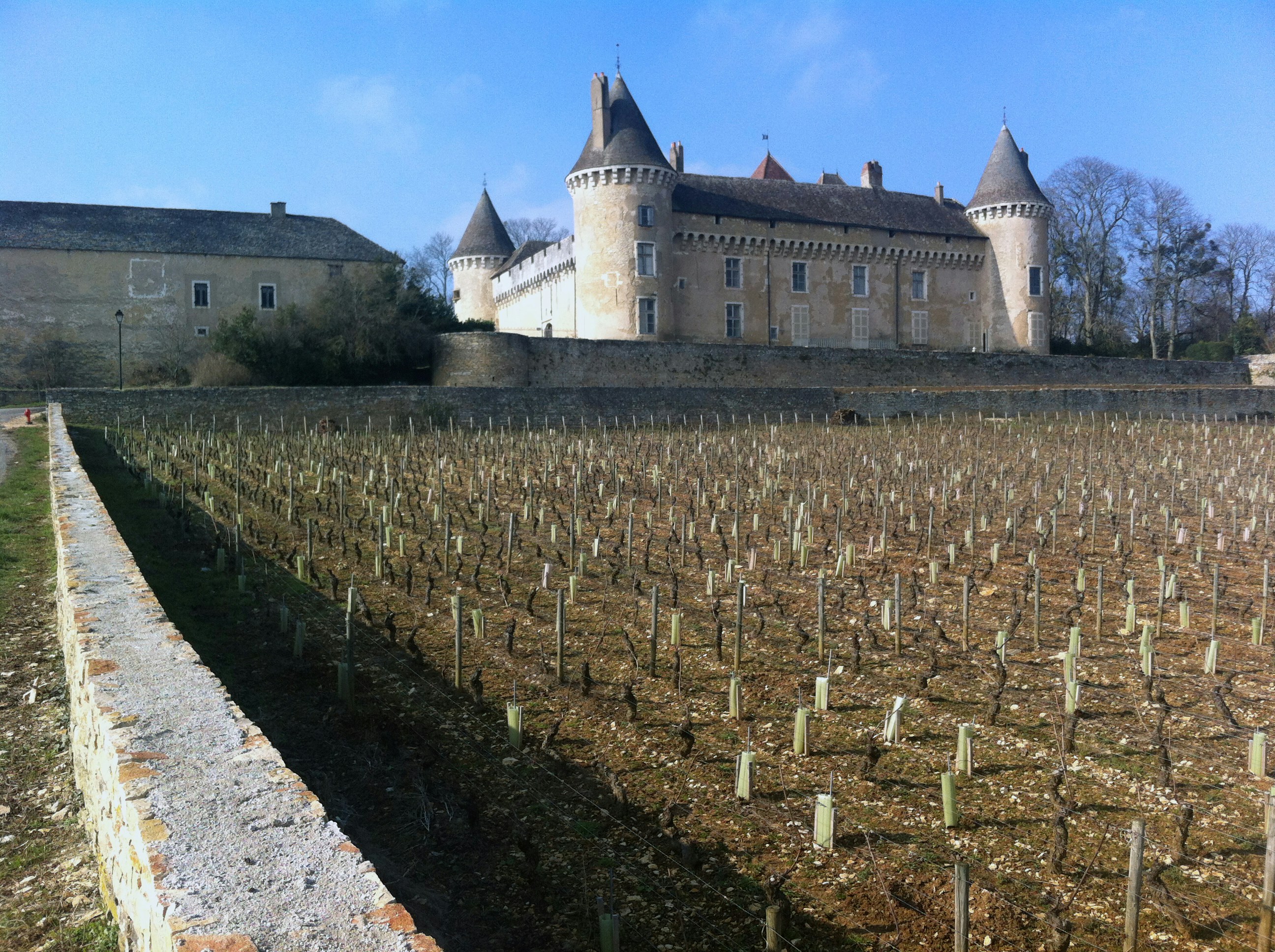 A historic chateau overlooks a sprawling vineyard, showcasing the harmony between architecture and agriculture.