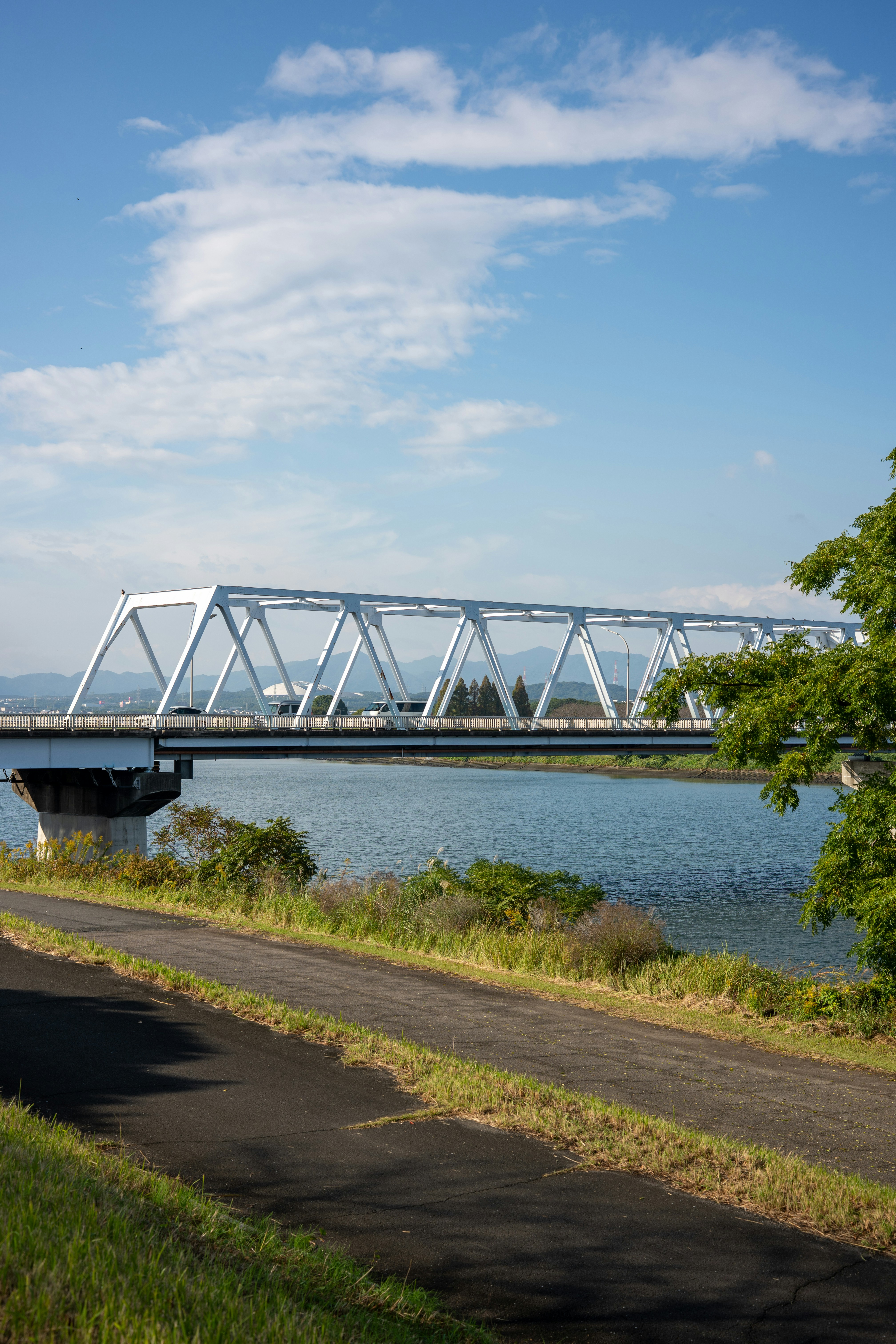 Architectural Harmony: The Bridge Over Tranquil Waters