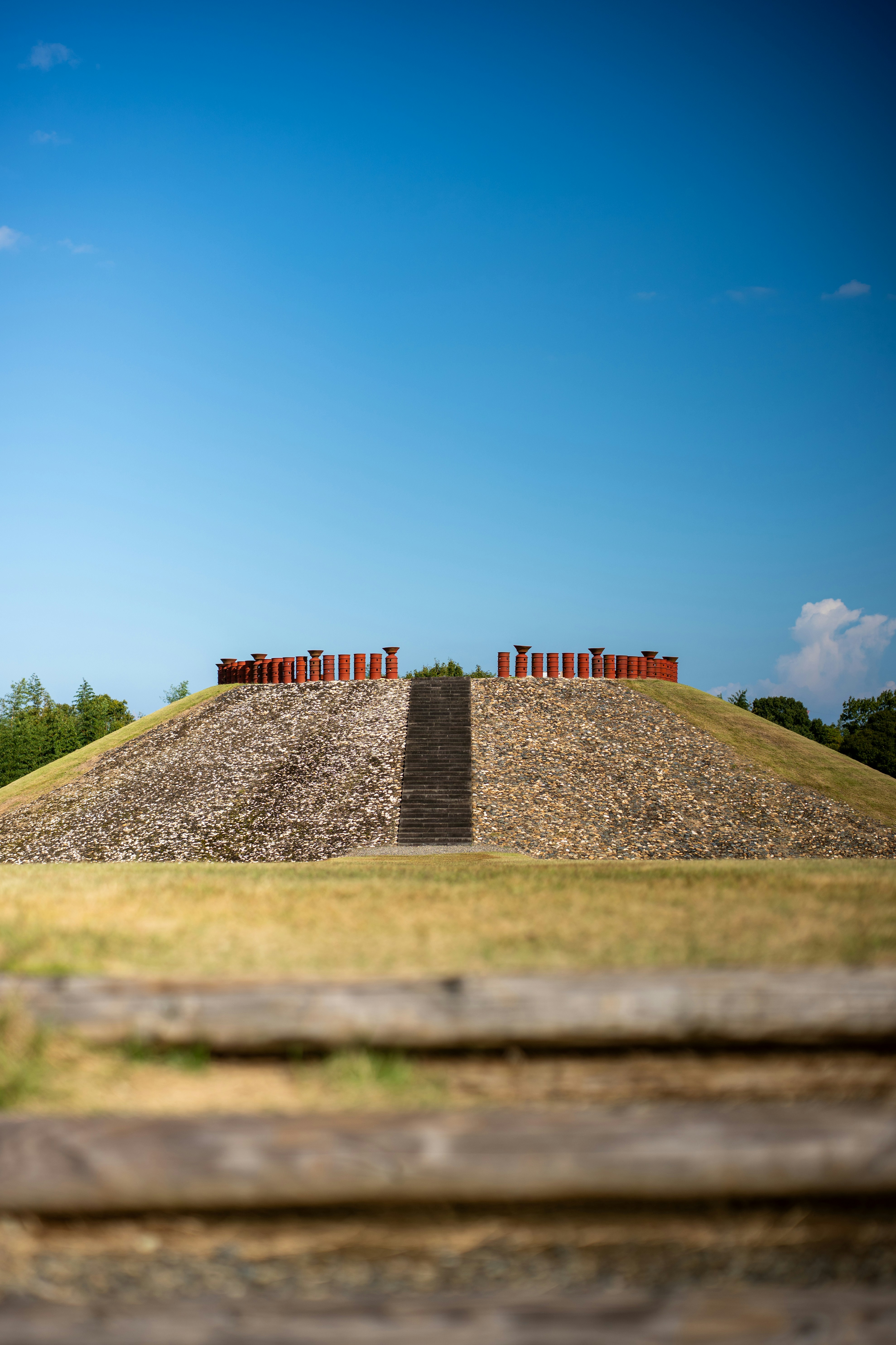 Echoes of Ancient Landscapes