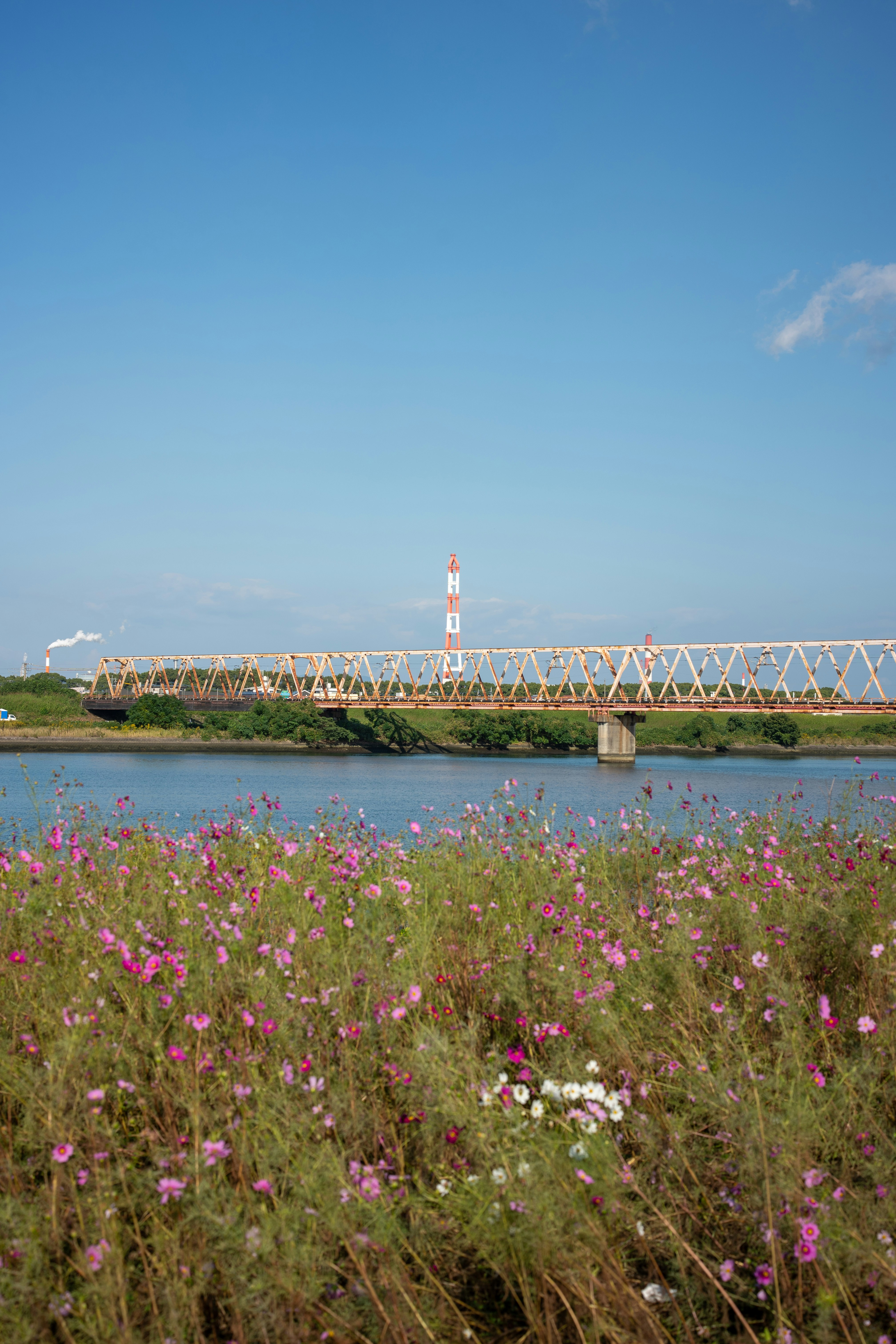 Bridging Nature and Industry: A Serene Confluence
