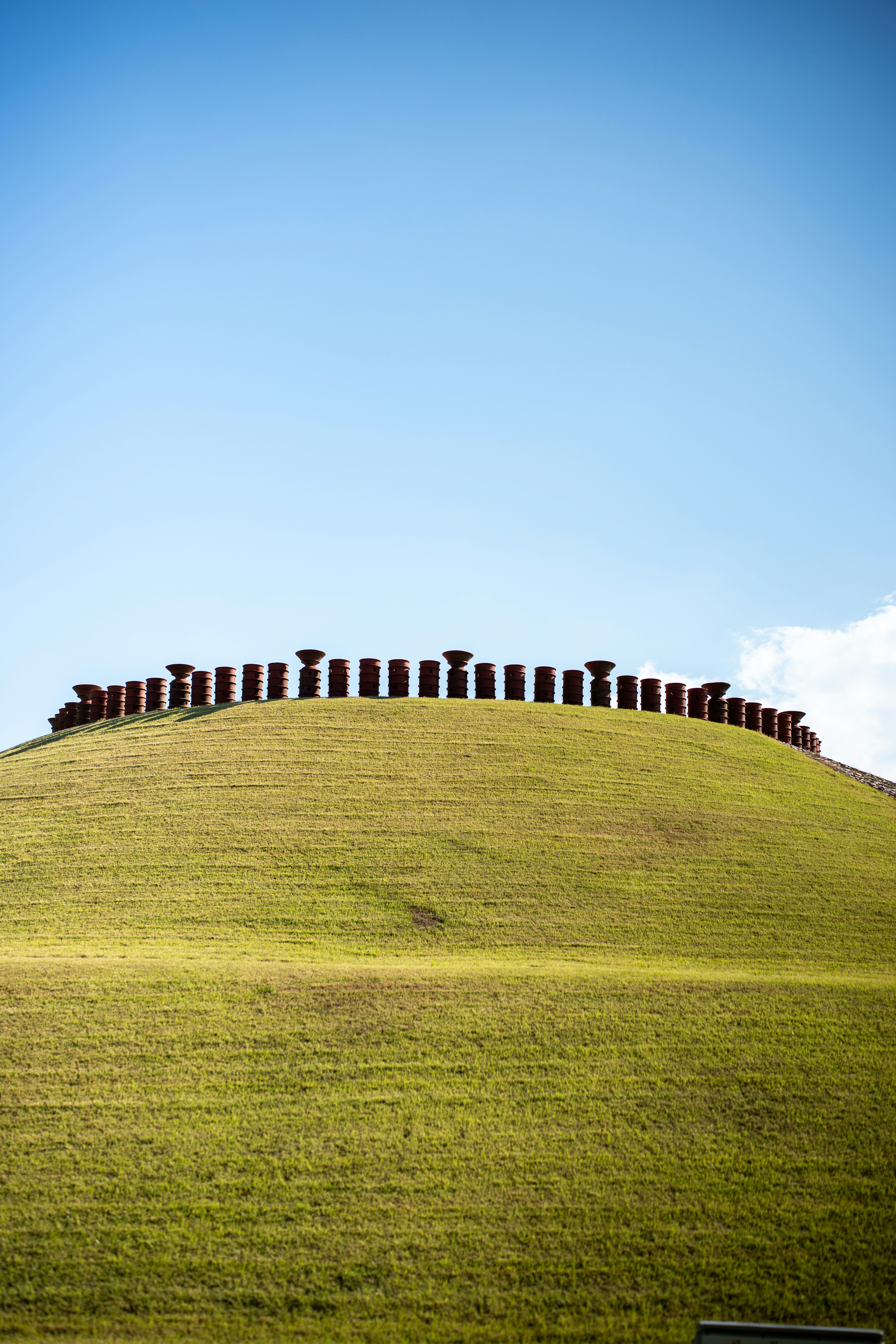 Sentinels on a Grassy Crest Under a Clear Blue Sky