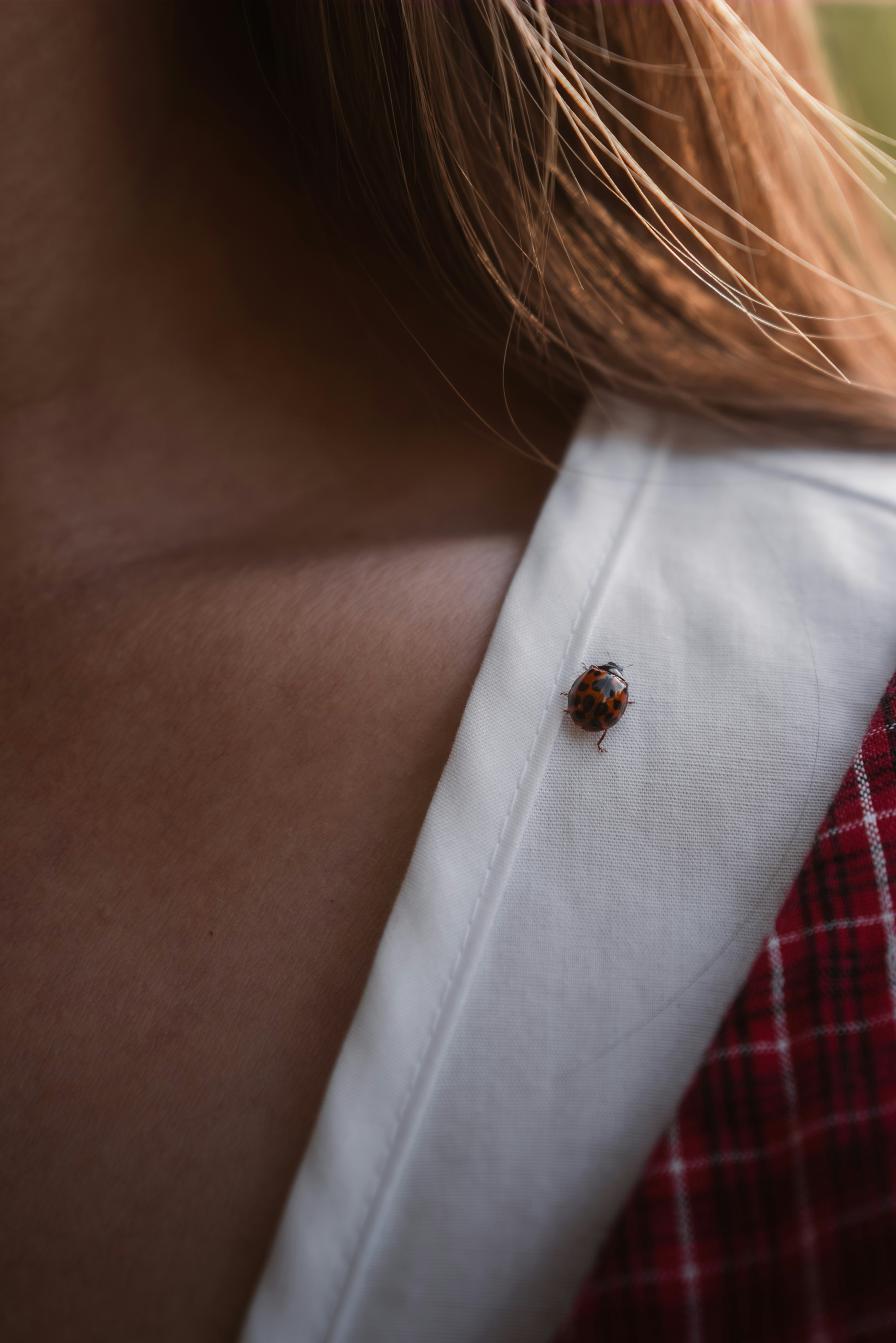 A Serendipitous Encounter: Nature's Tiny Visitor