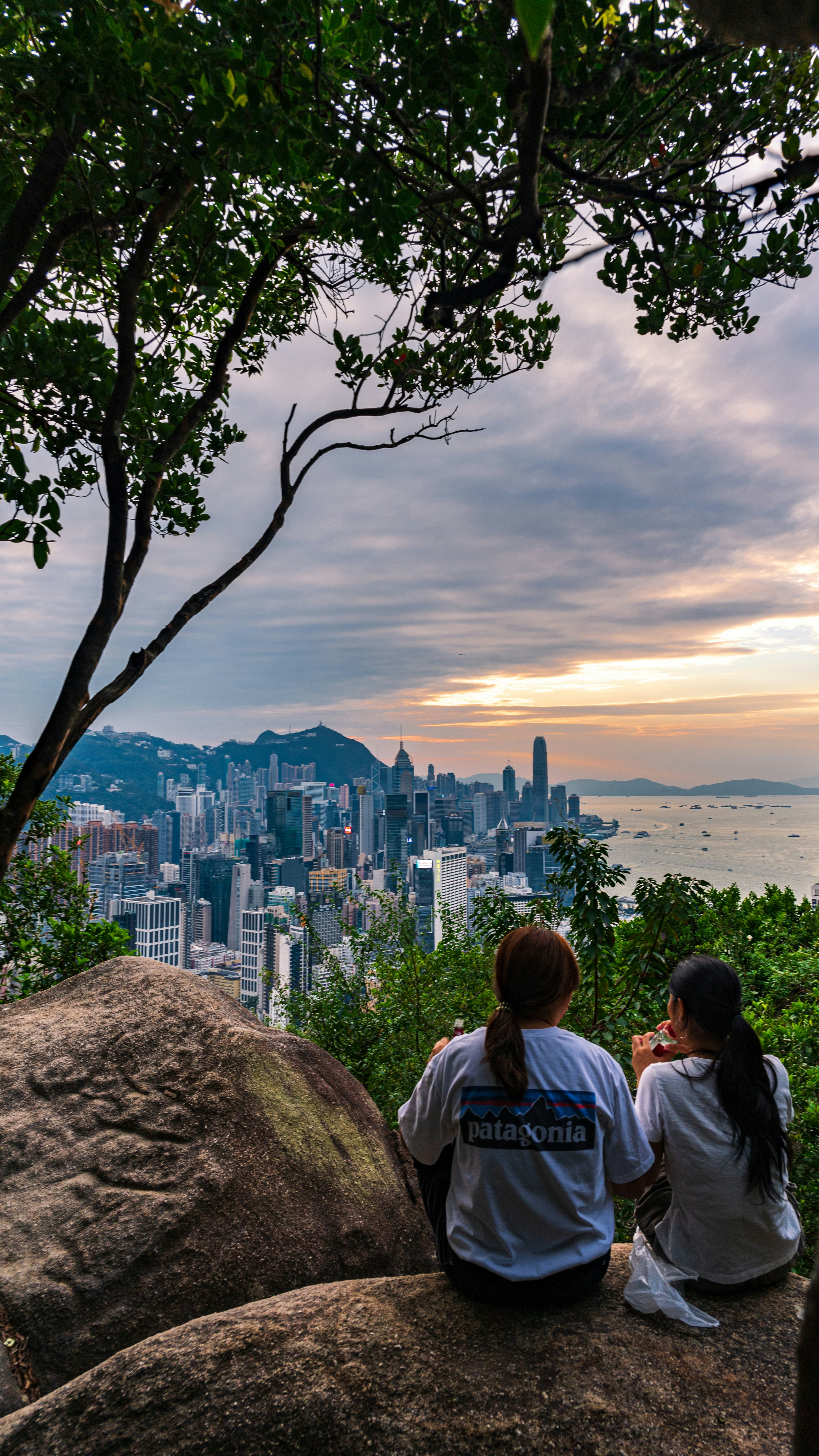 Dusk Over the City: Two Friends on a Cliffside Vista